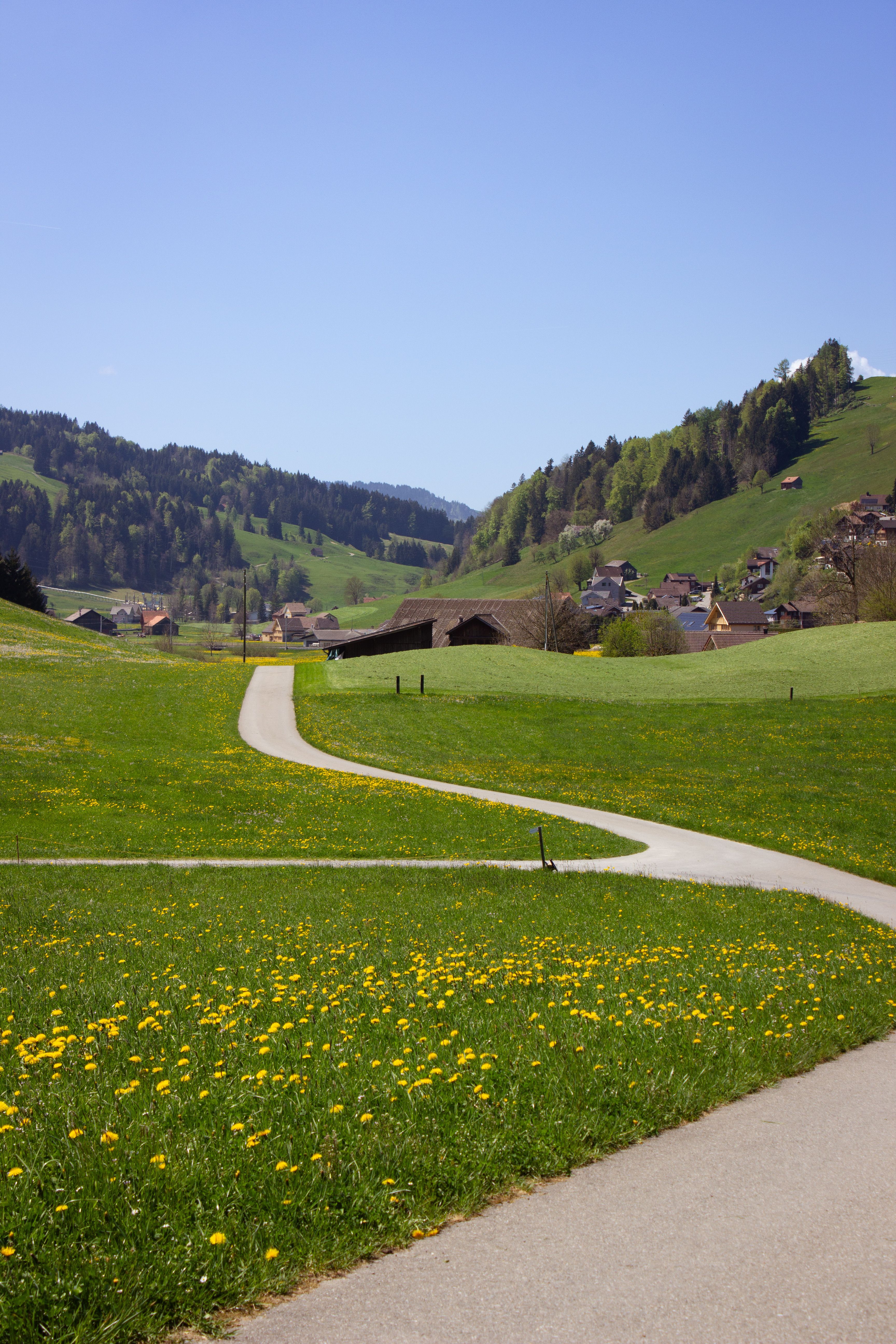 Idyllic Countryside Path in Spring Landscape · Free Stock Photo