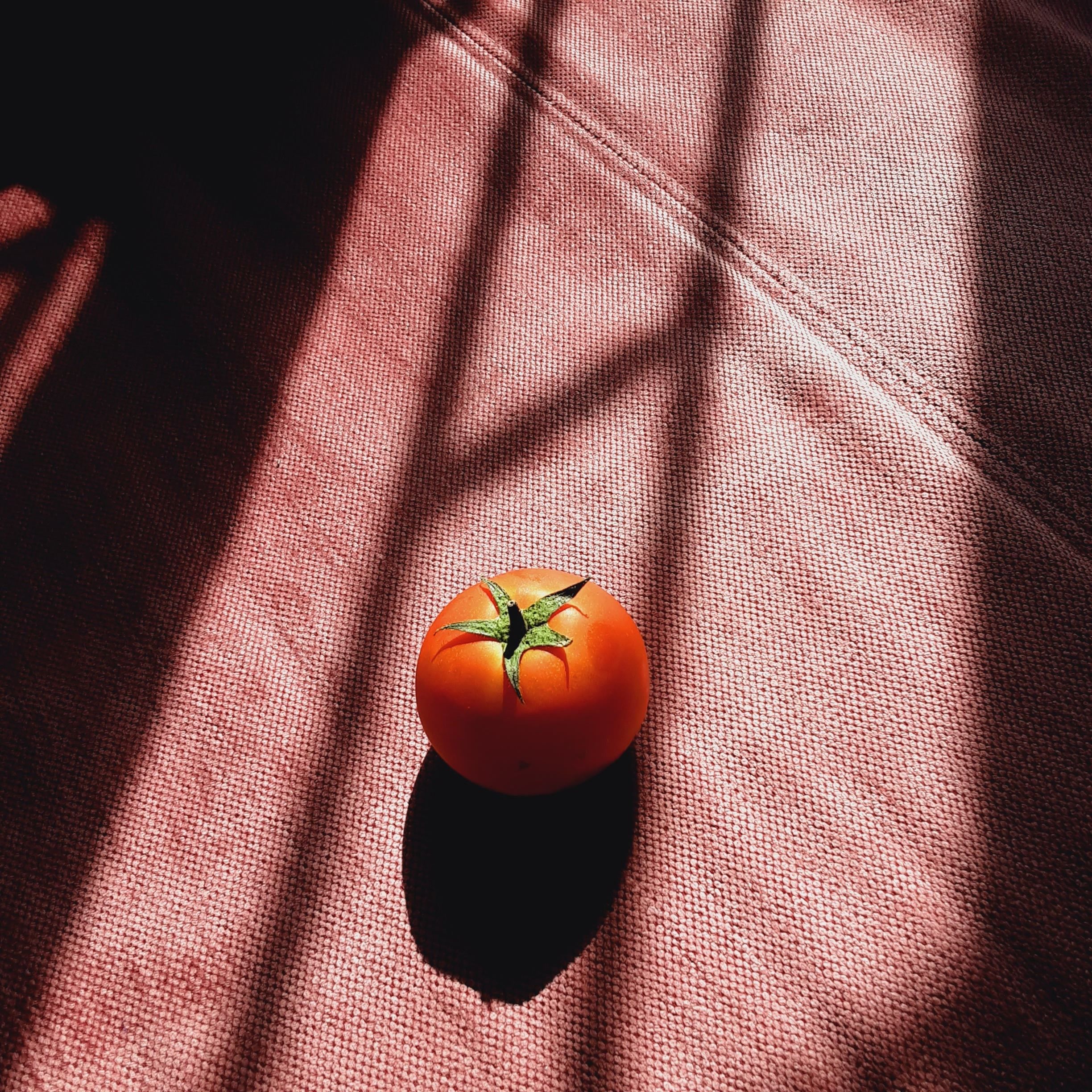 Sunlit Tomato with Shadows on Red Surface · Free Stock Photo