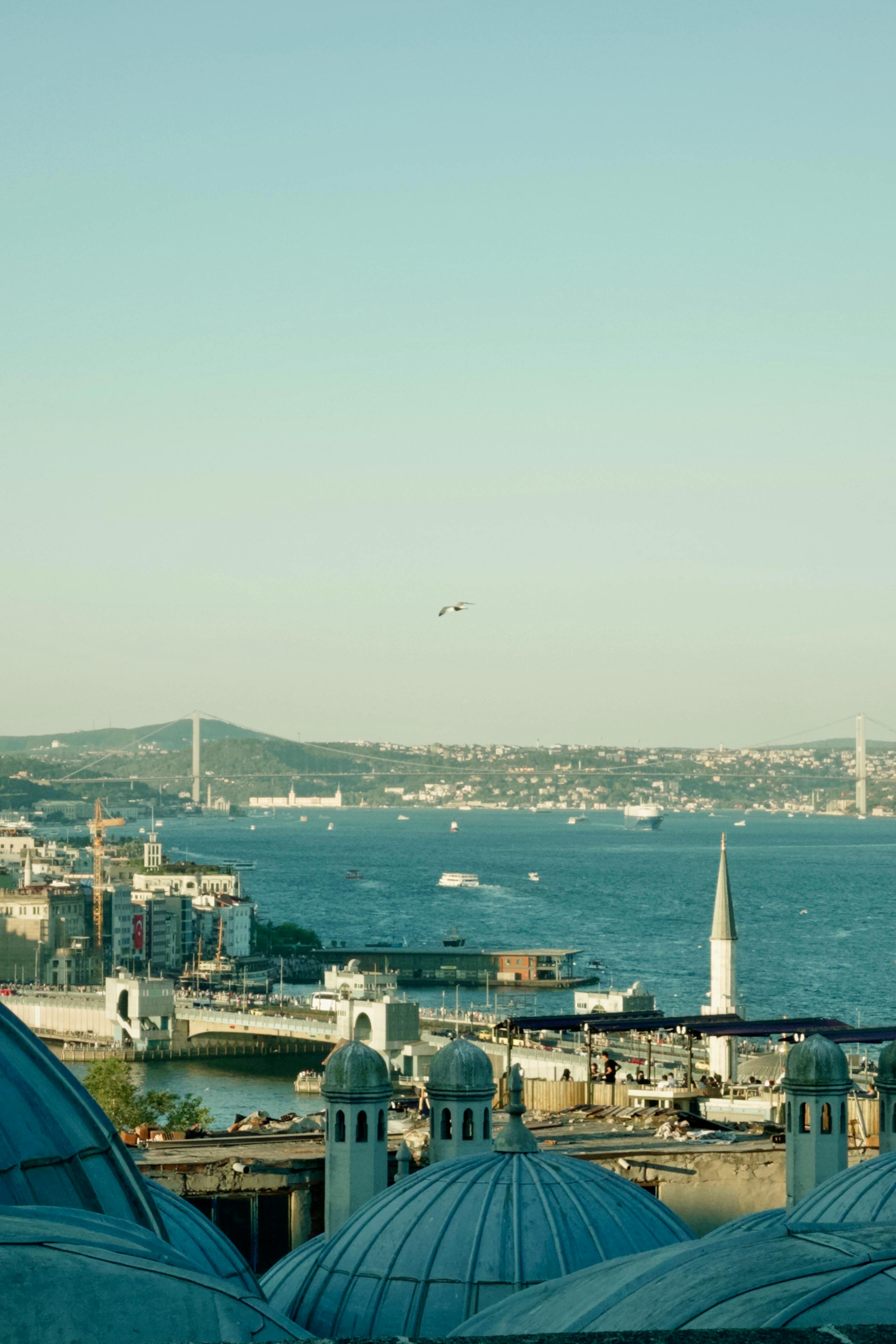 Gabbie Carter Photos, Download The BEST Free Gabbie Carter Stock Photos ...