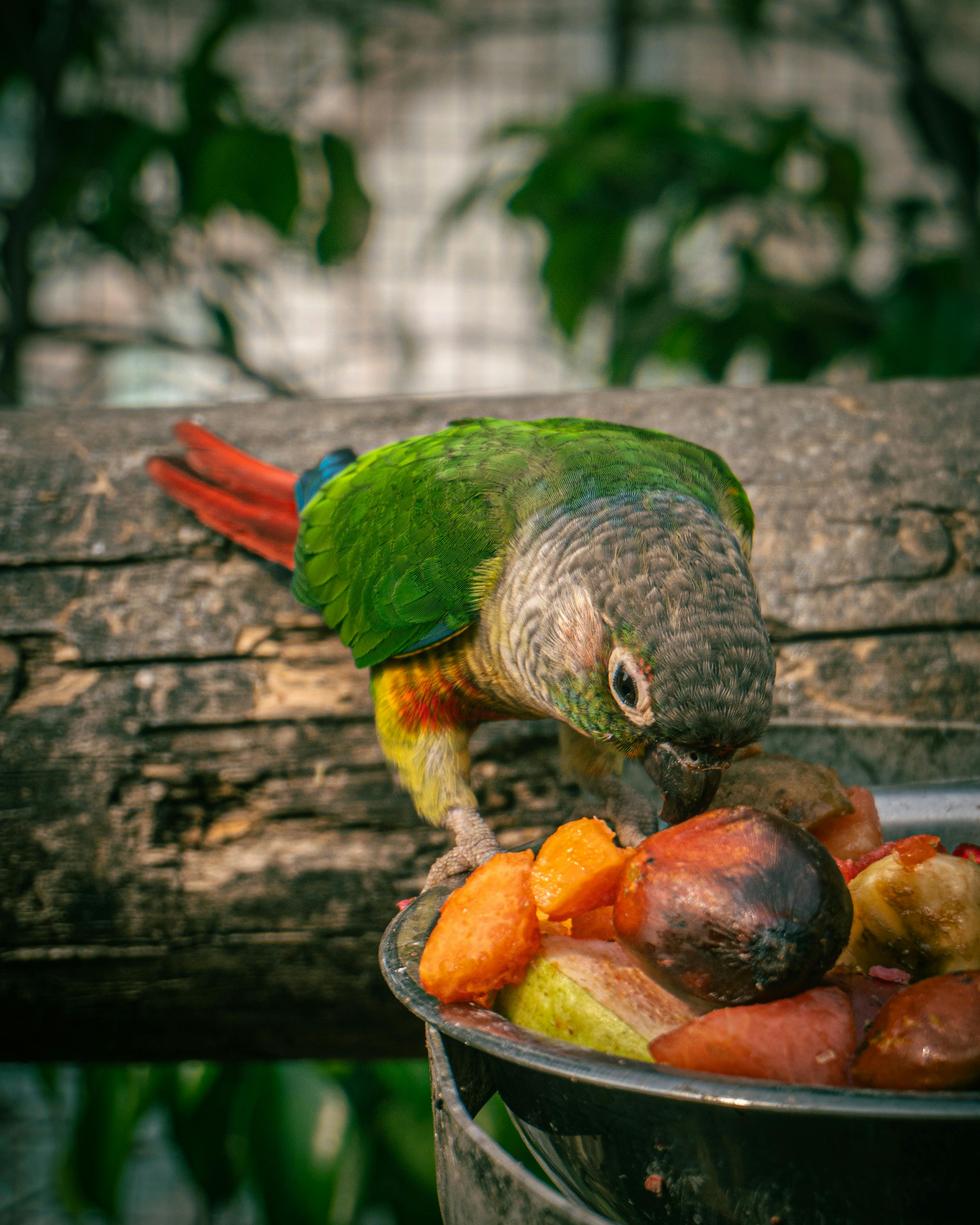 Crying Animals Photos, Download The BEST Free Crying Animals Stock ...