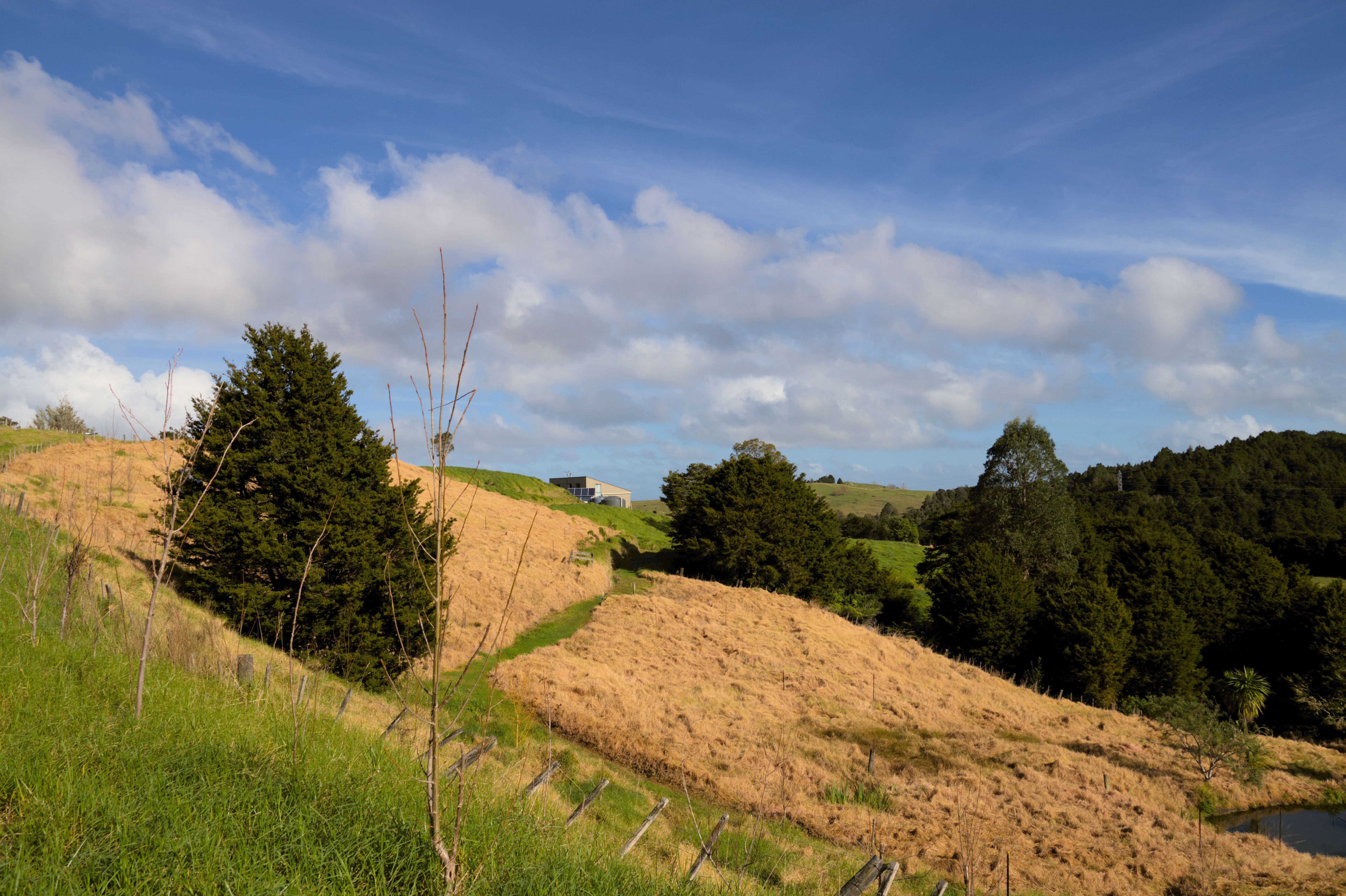 Scenic Rural Landscape in New Zealand Countryside · Free Stock Photo