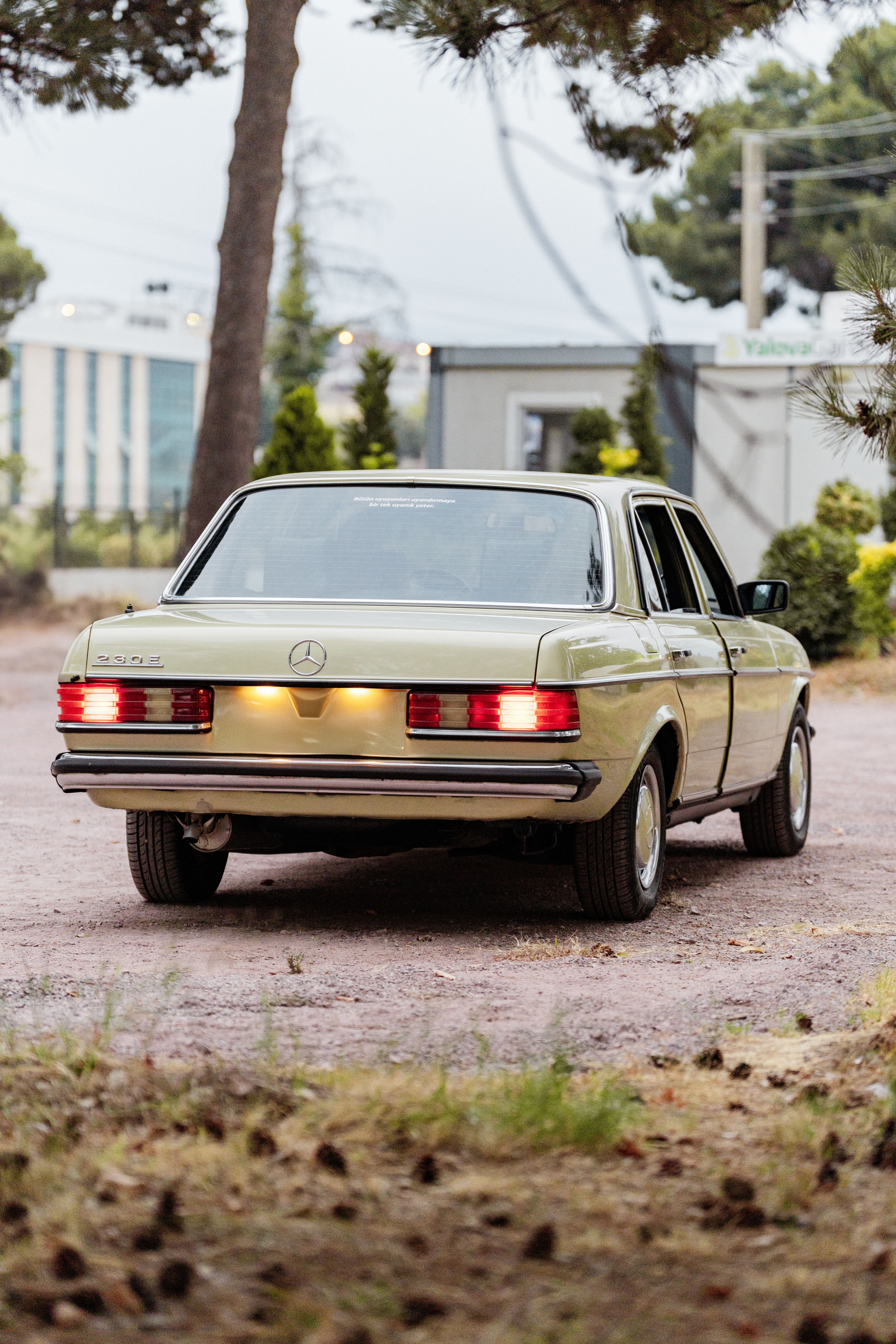 Vintage Green Mercedes-Benz Classic Car Outdoor Scene · Free Stock Photo