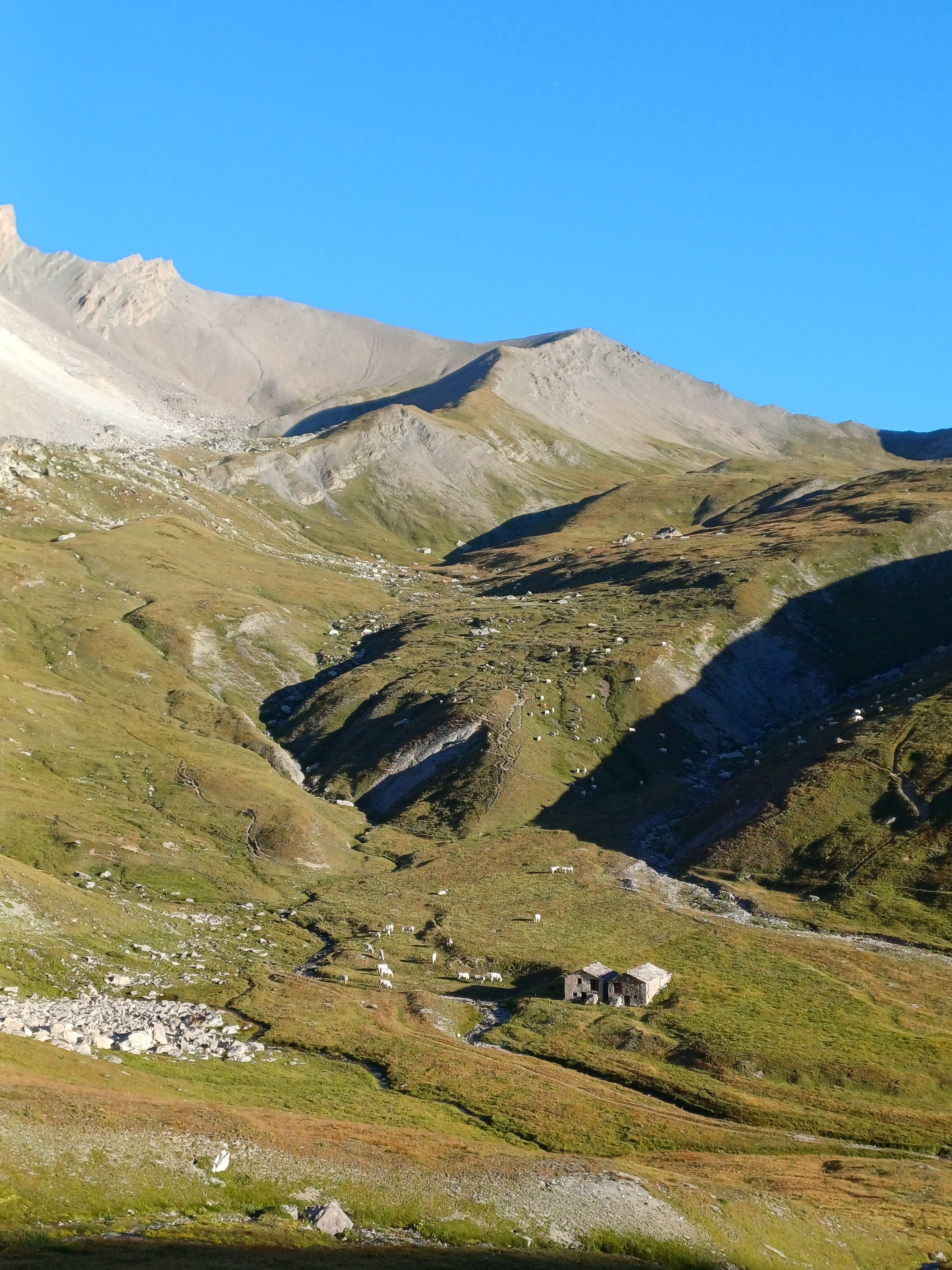 Scenic Mountain Valley Landscape in Daylight · Free Stock Photo