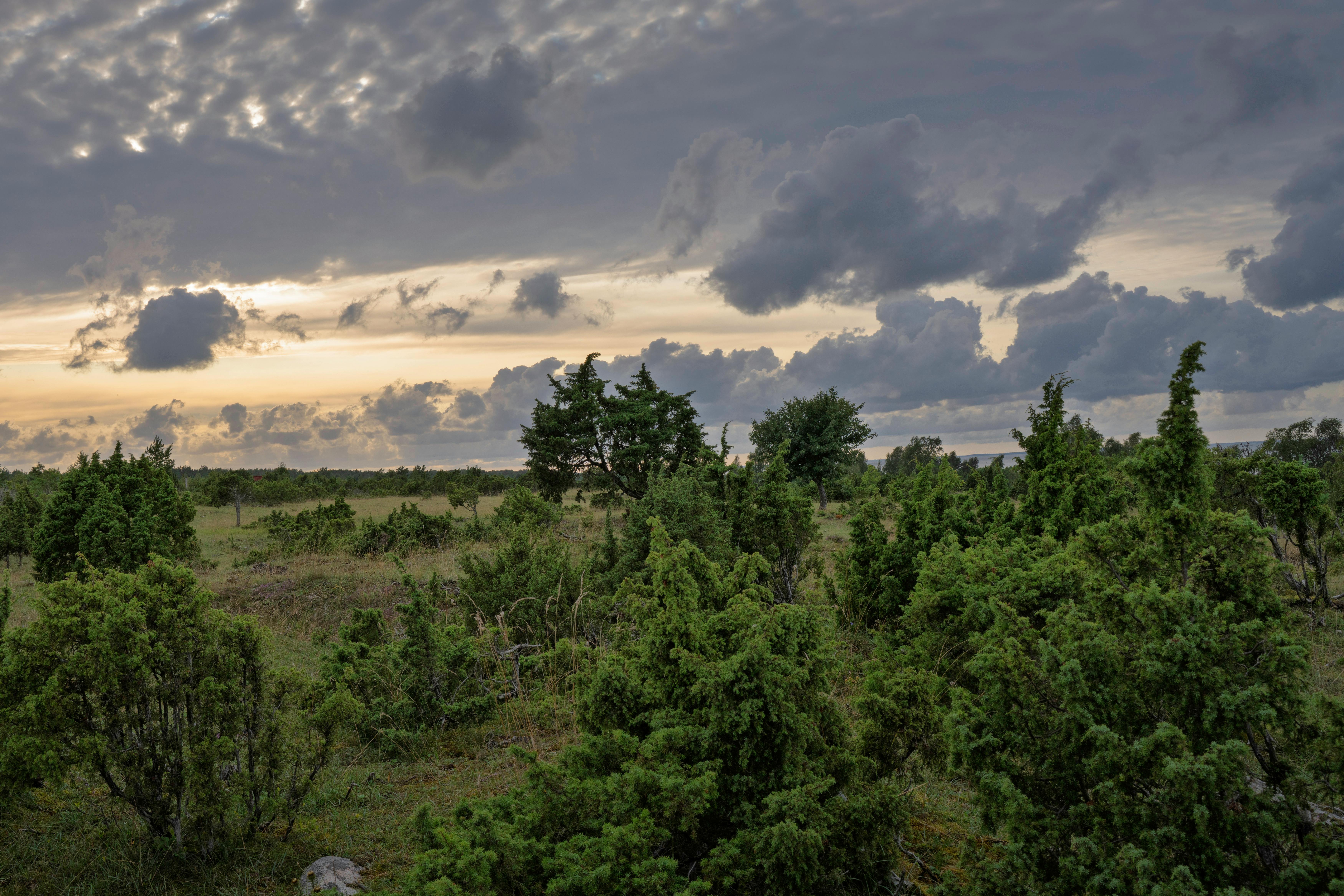 Scenic Cloudy Landscape in Kallaste, Estonia · Free Stock Photo