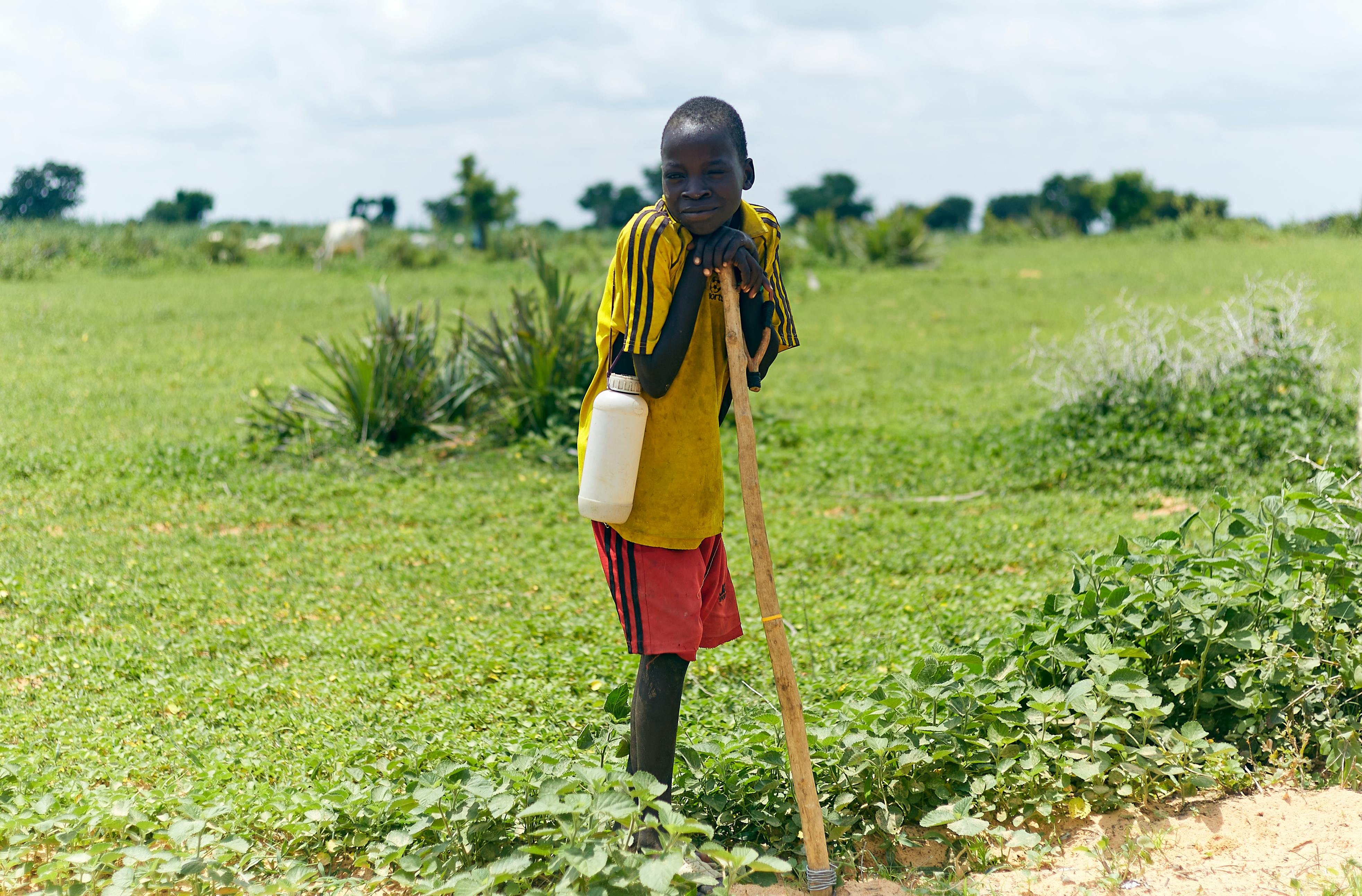 Stick Flah Photos, Download The BEST Free Stick Flah Stock Photos & HD ...