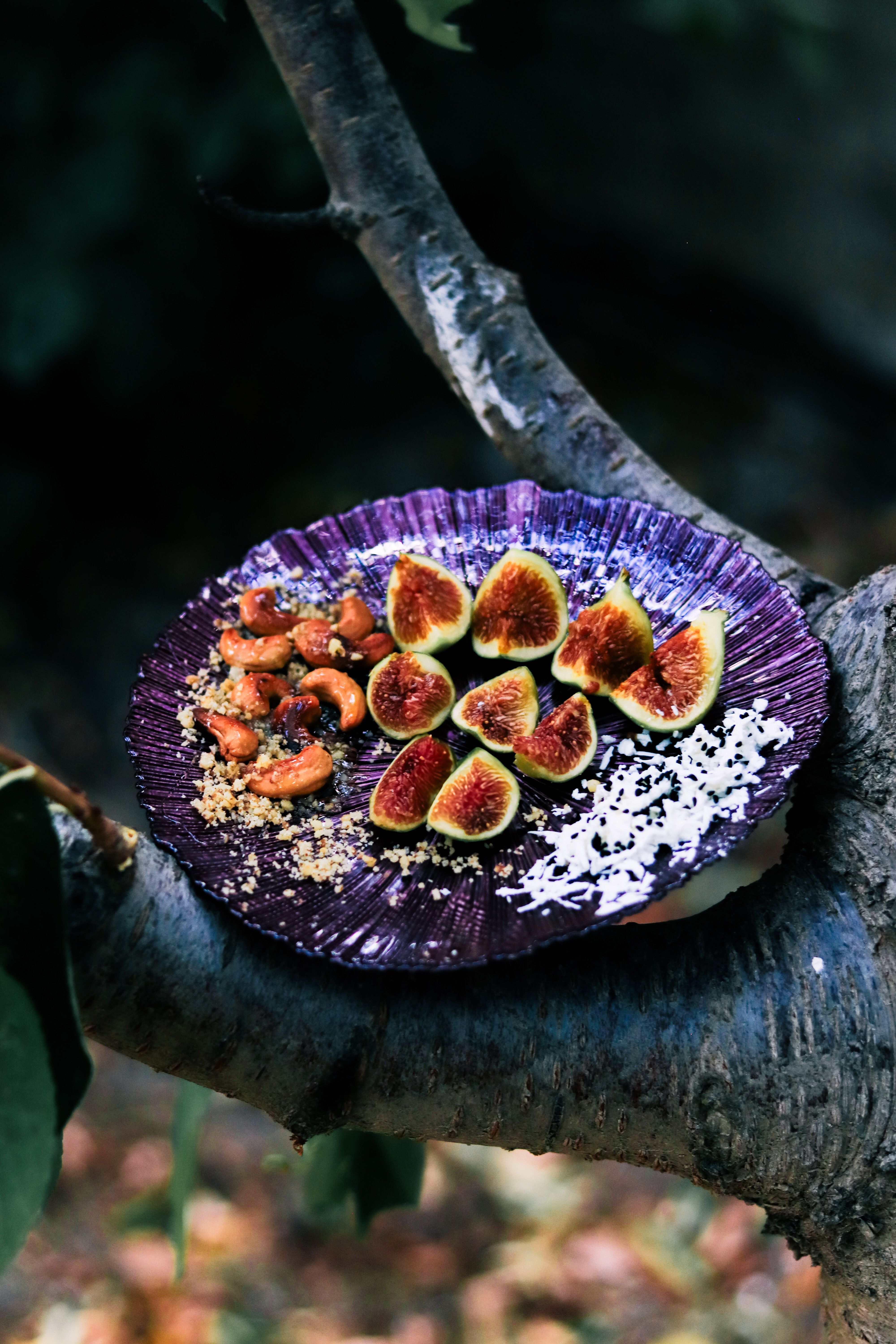 Fiddle Leaf Fruit Photos, Download The BEST Free Fiddle Leaf Fruit ...