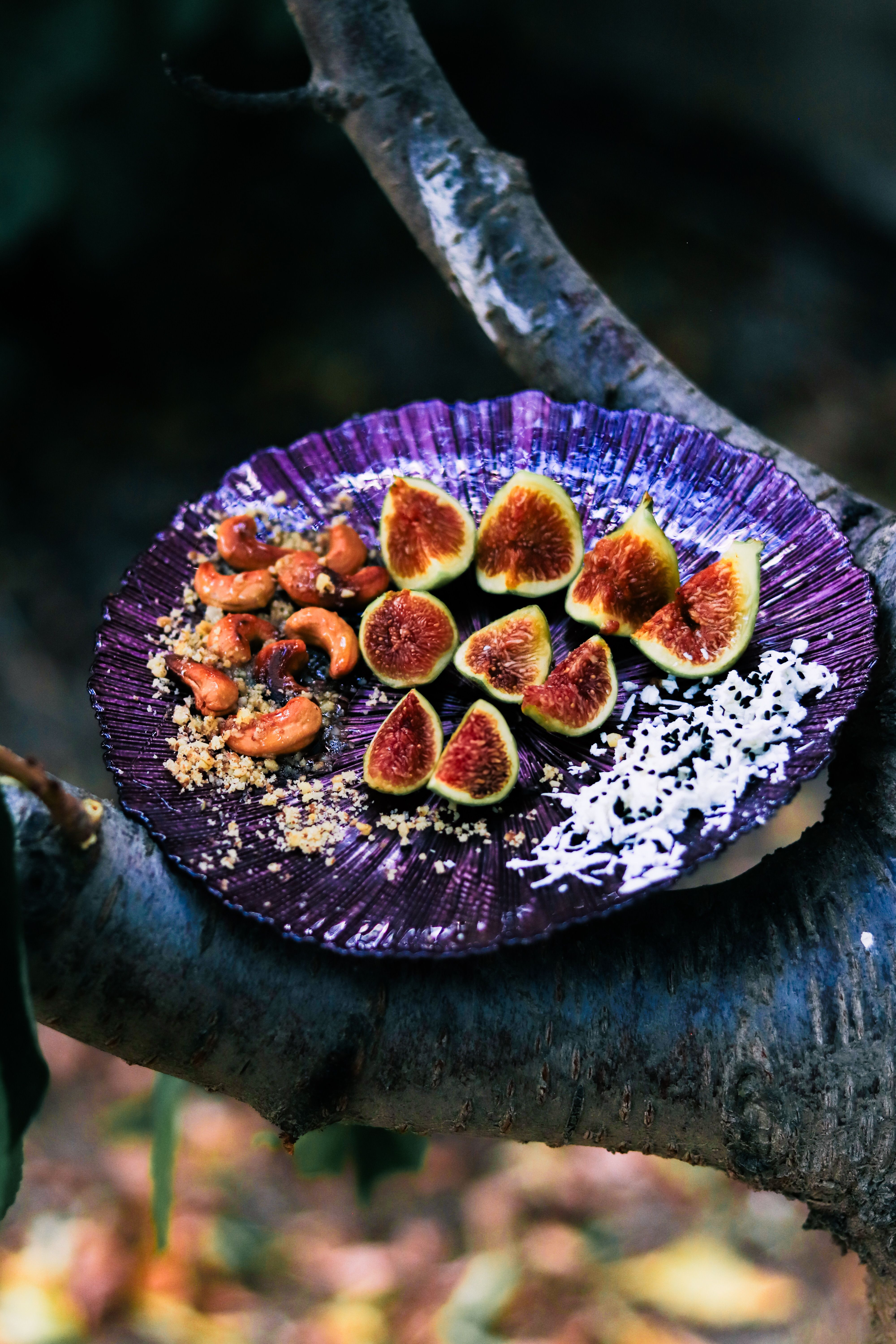 Fig Tree Photos, Download The BEST Free Fig Tree Stock Photos & HD Images