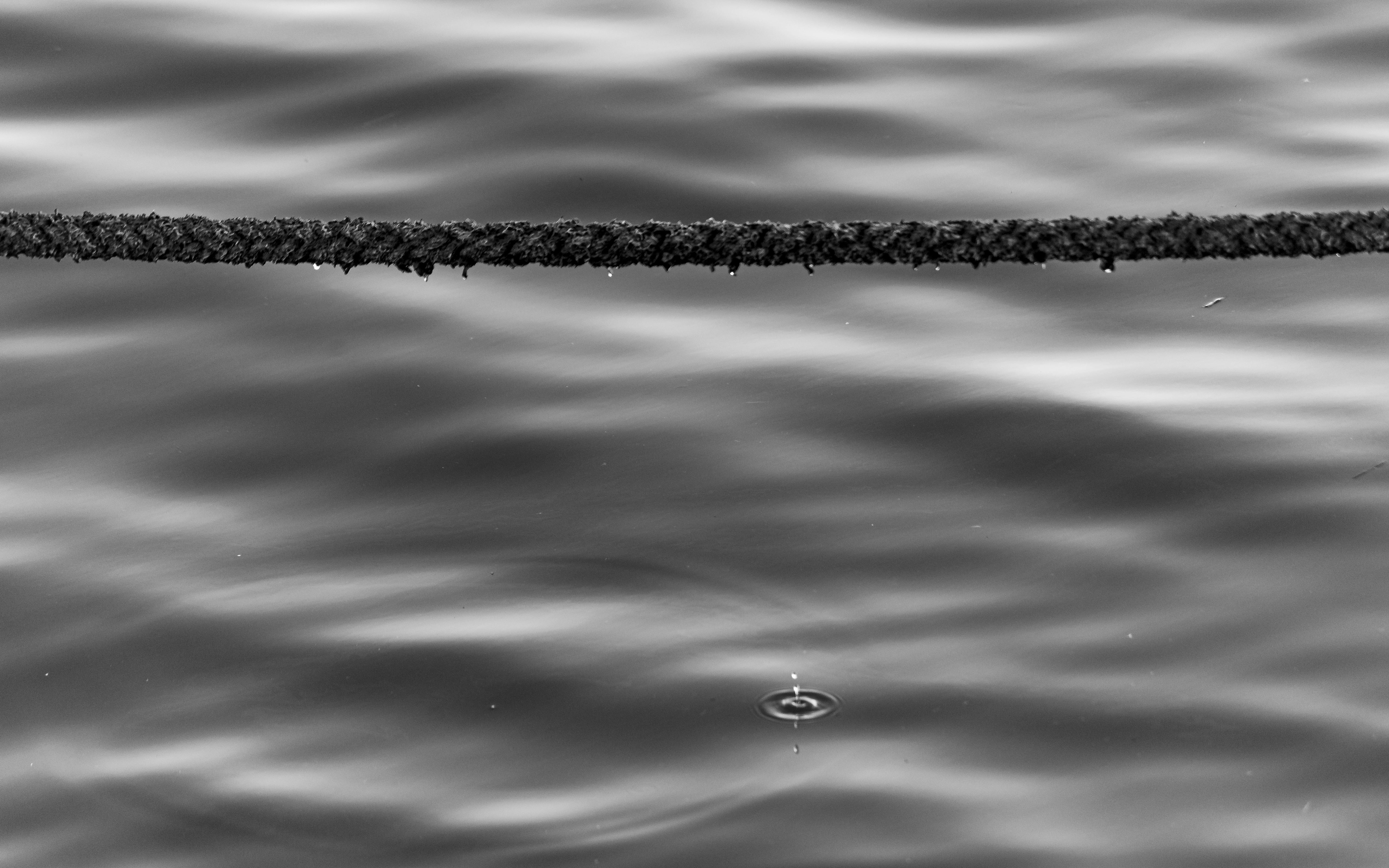 Black and White Photo of Rope over Water · Free Stock Photo