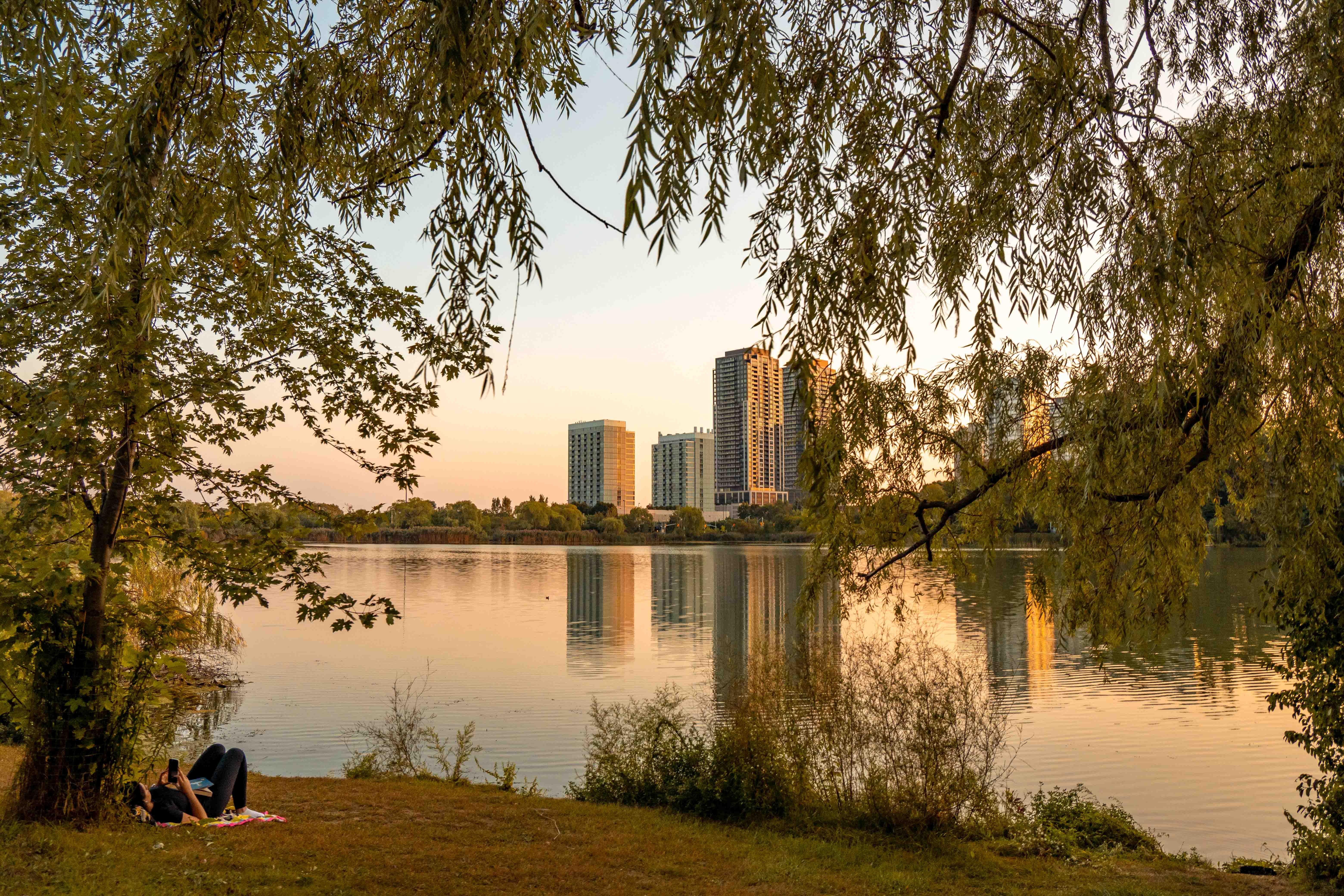 Scenic Lakeside View During Toronto Sunset · Free Stock Photo