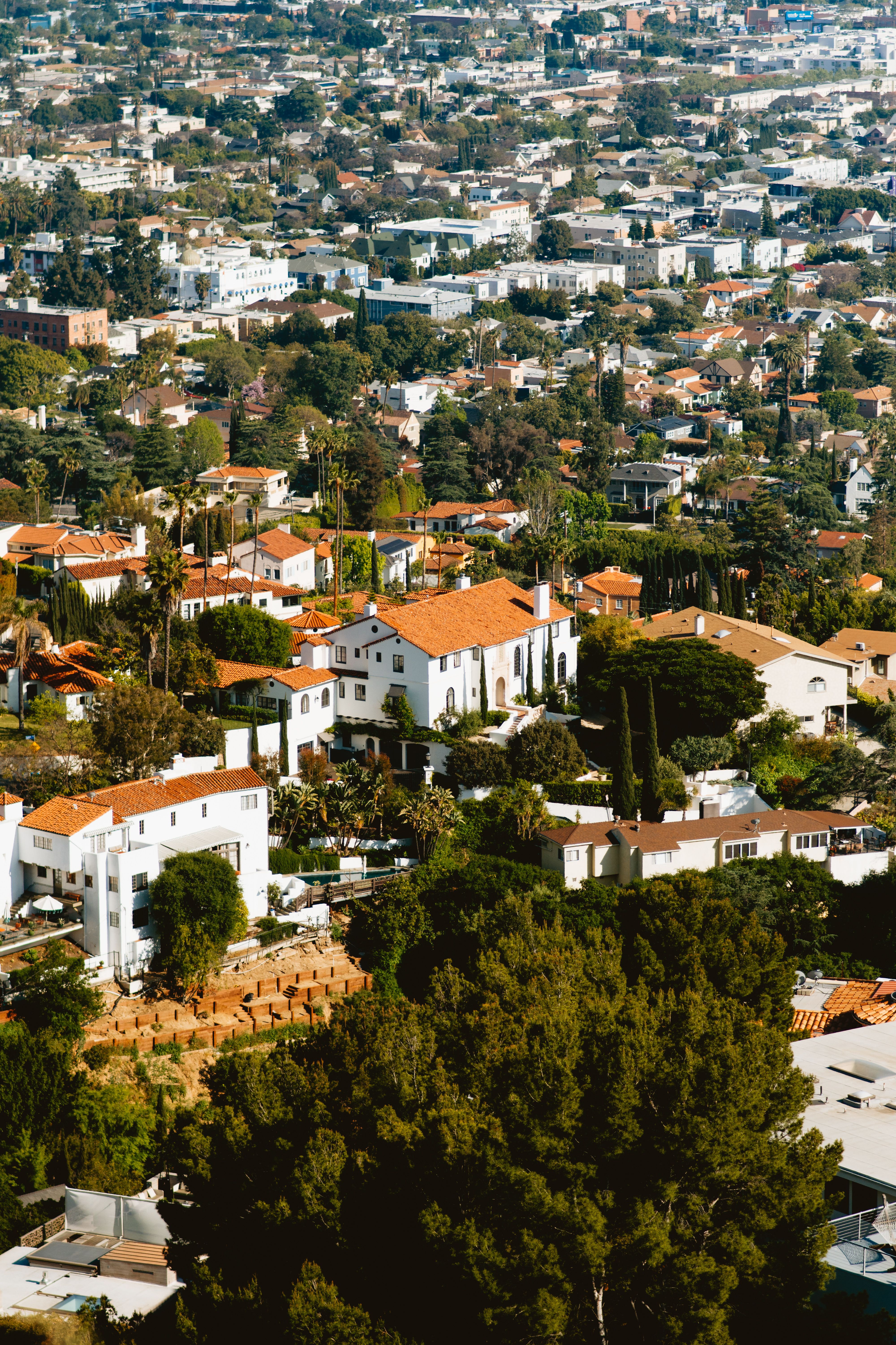 Aerial View of Suburban Neighborhood with Red Roofs · Free Stock Photo