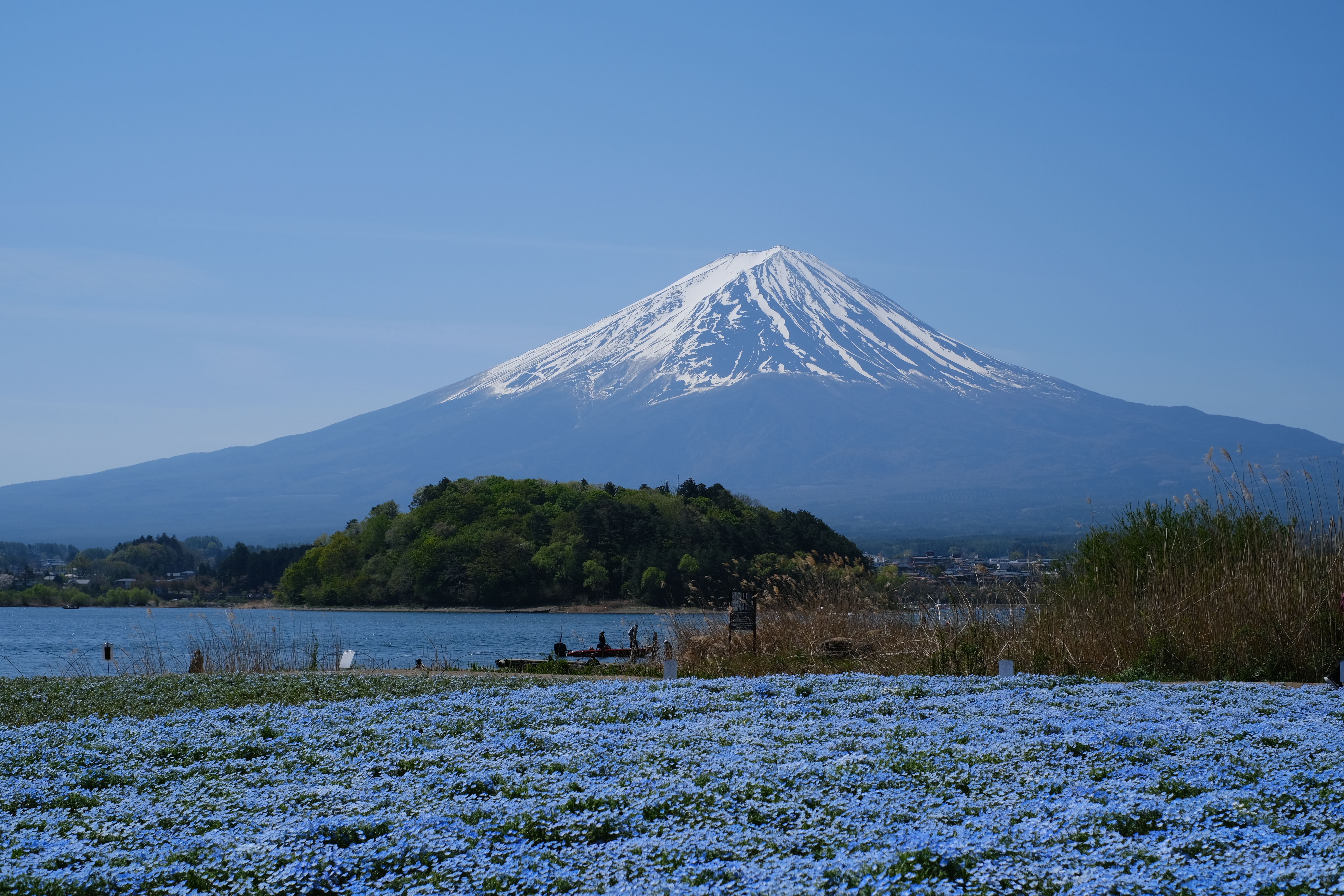 Japanese Toori Photos, Download The BEST Free Japanese Toori Stock ...