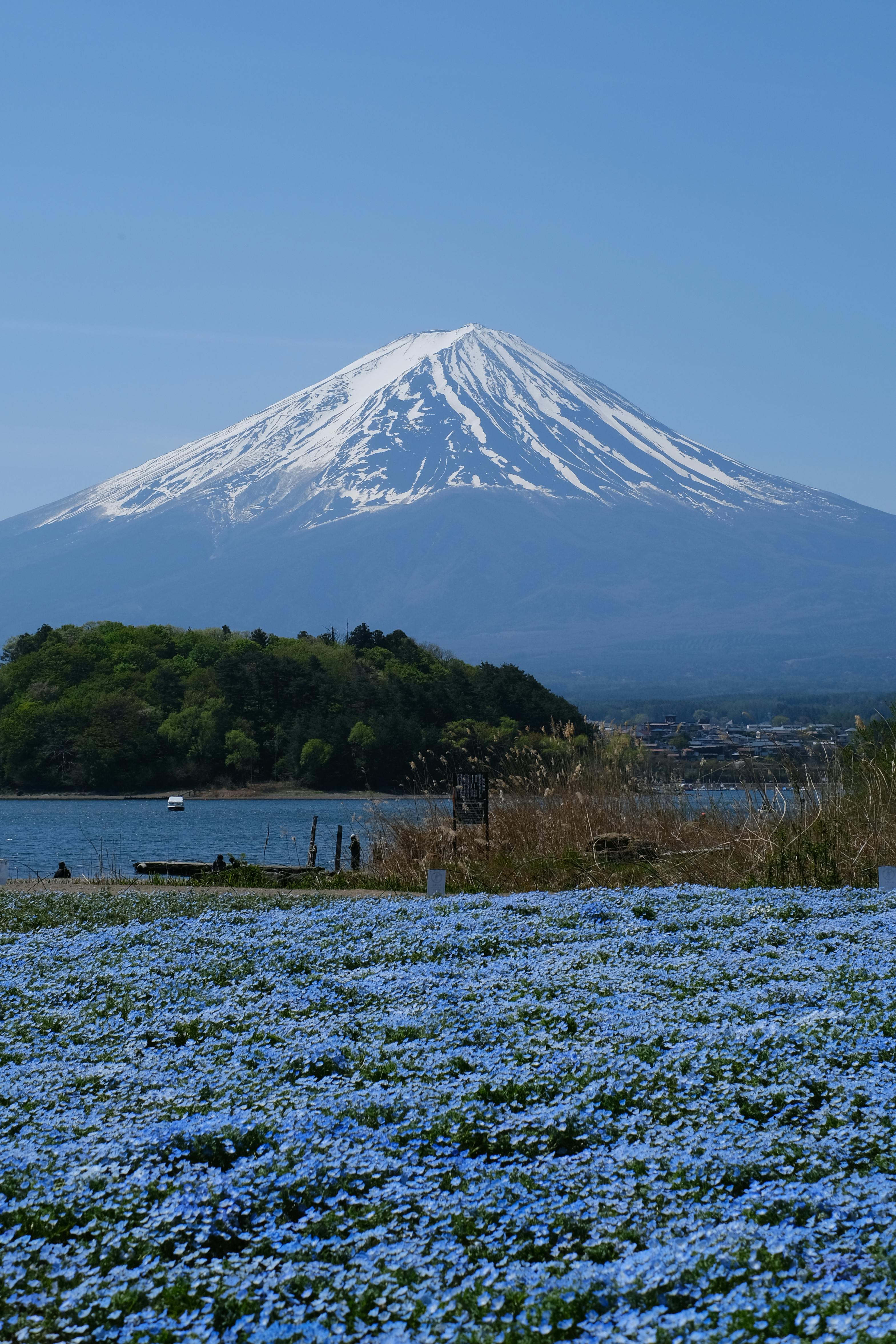 Iconic View of Mount Fuji from Hakone, Japan · Free Stock Photo