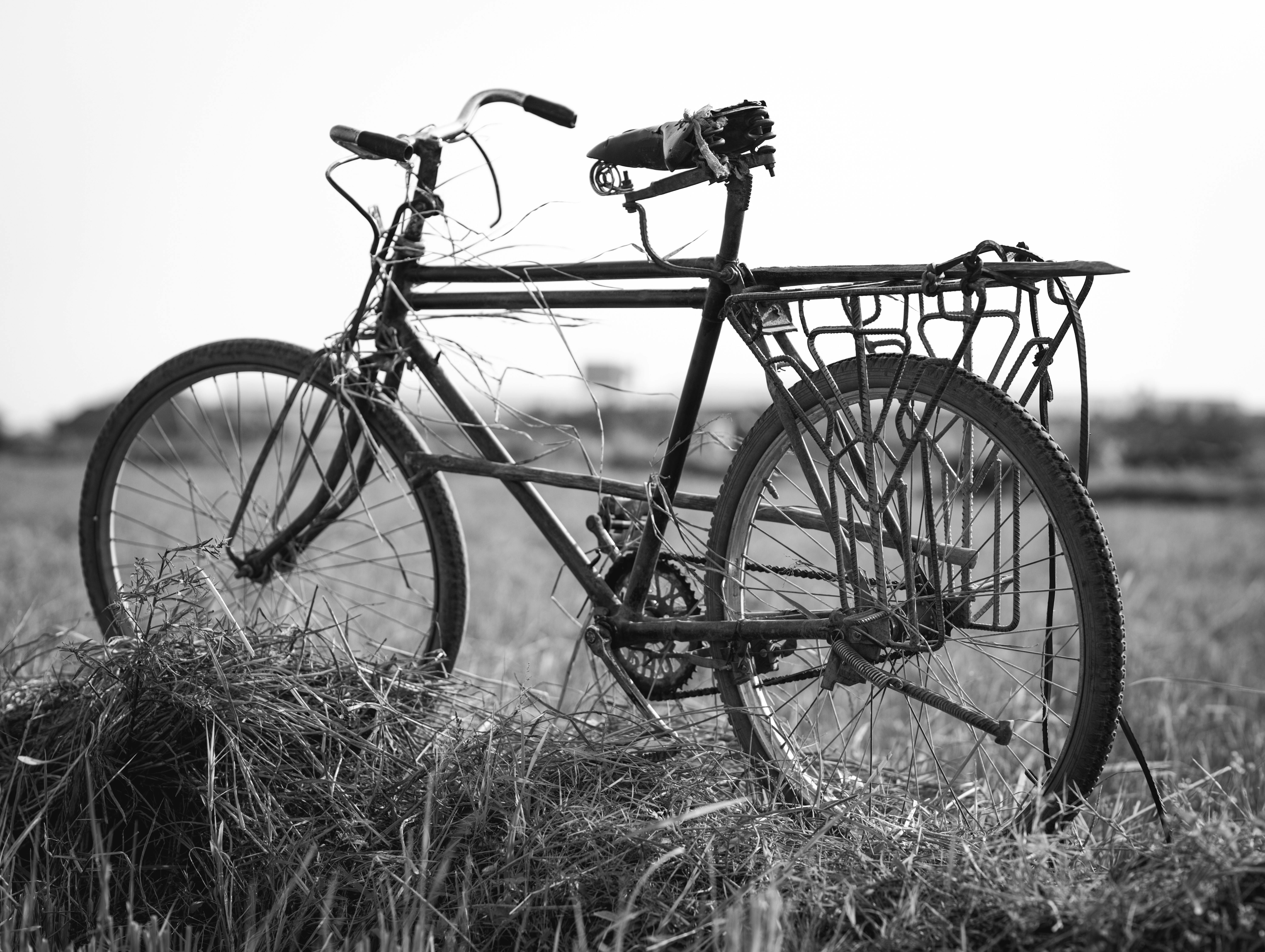 Vintage Bicycle Photos, Download The BEST Free Vintage Bicycle Stock ...