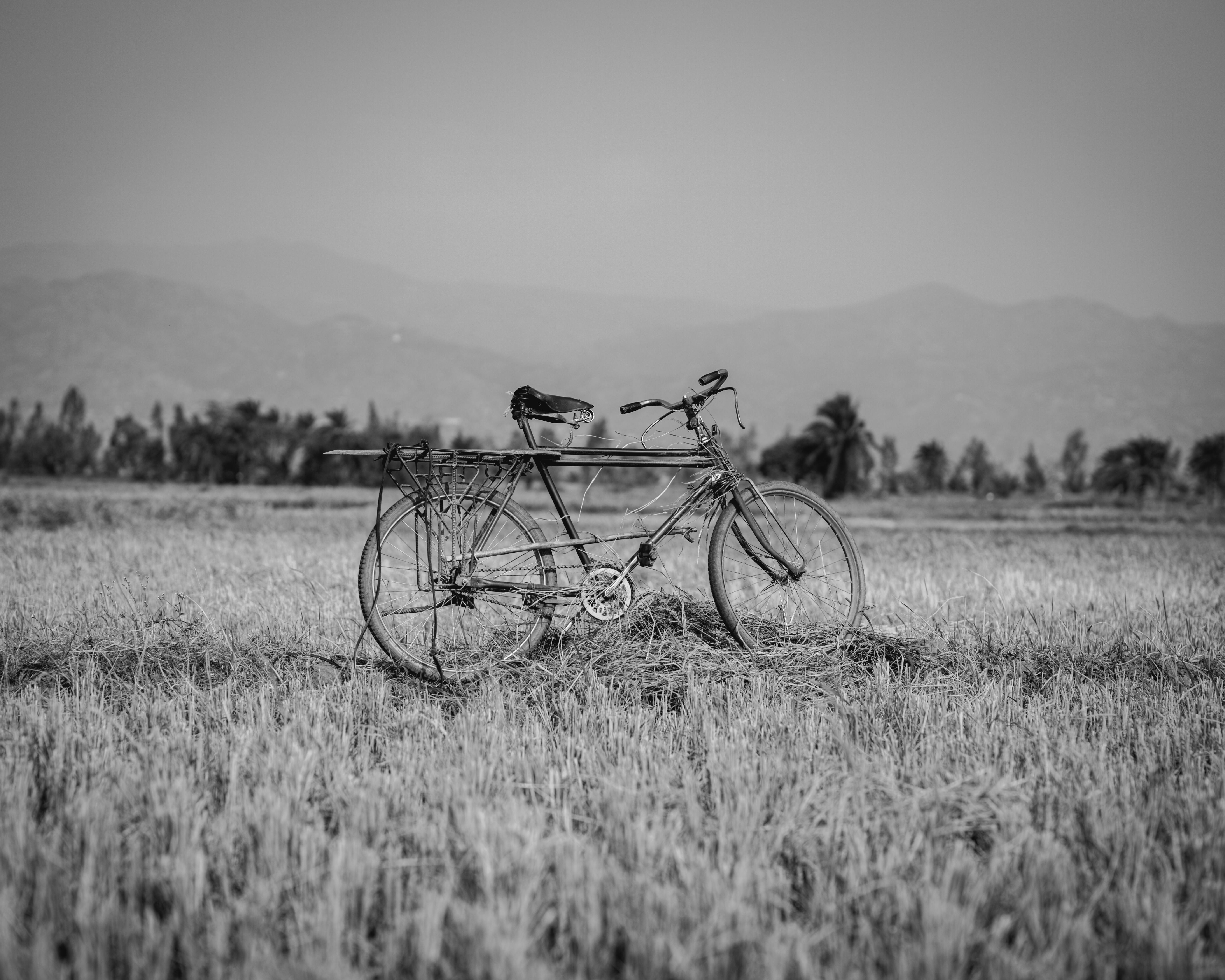 Vintage Bicycle Photos, Download The BEST Free Vintage Bicycle Stock ...