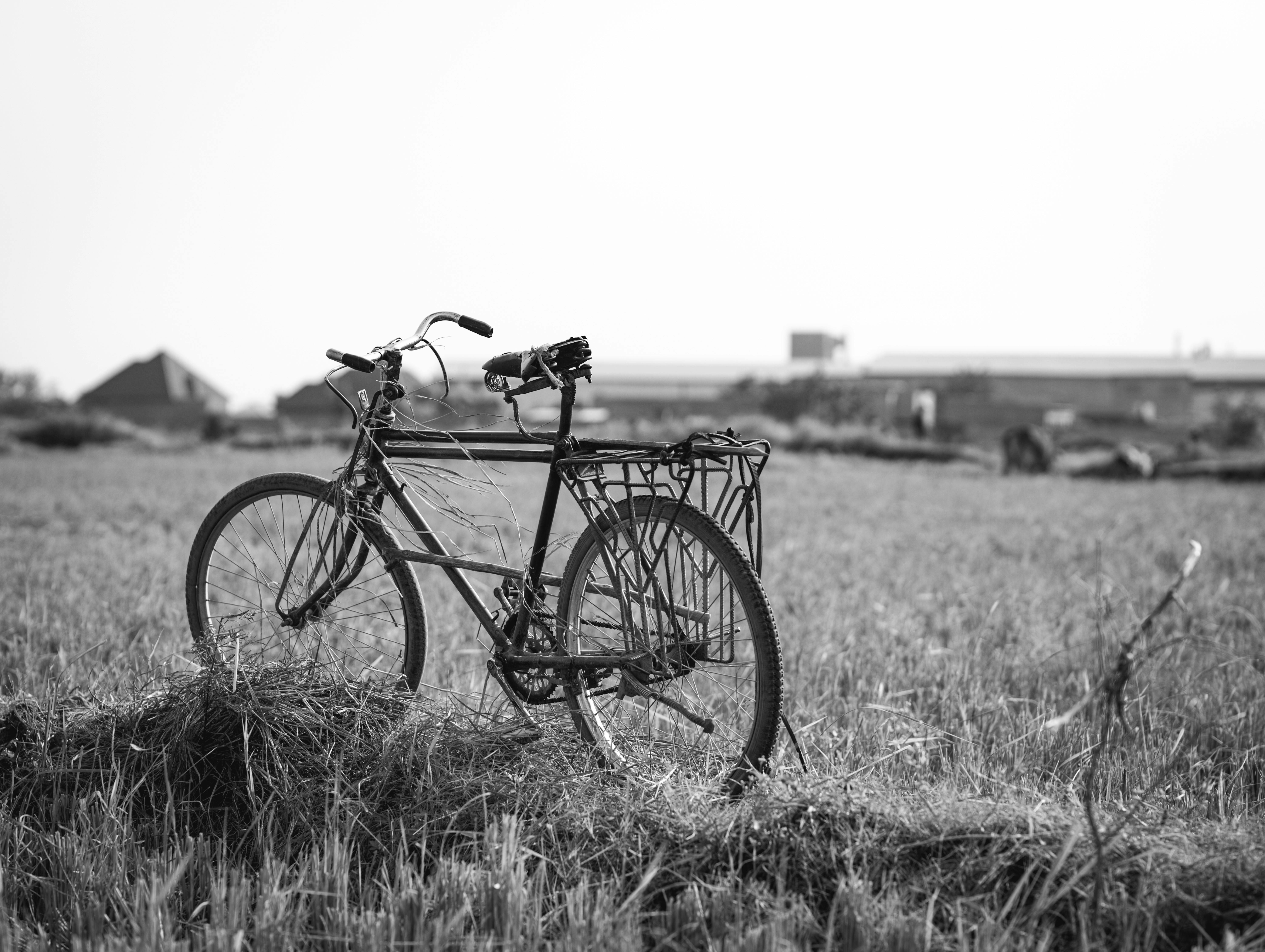 Vintage Bicycle Photos, Download The BEST Free Vintage Bicycle Stock ...