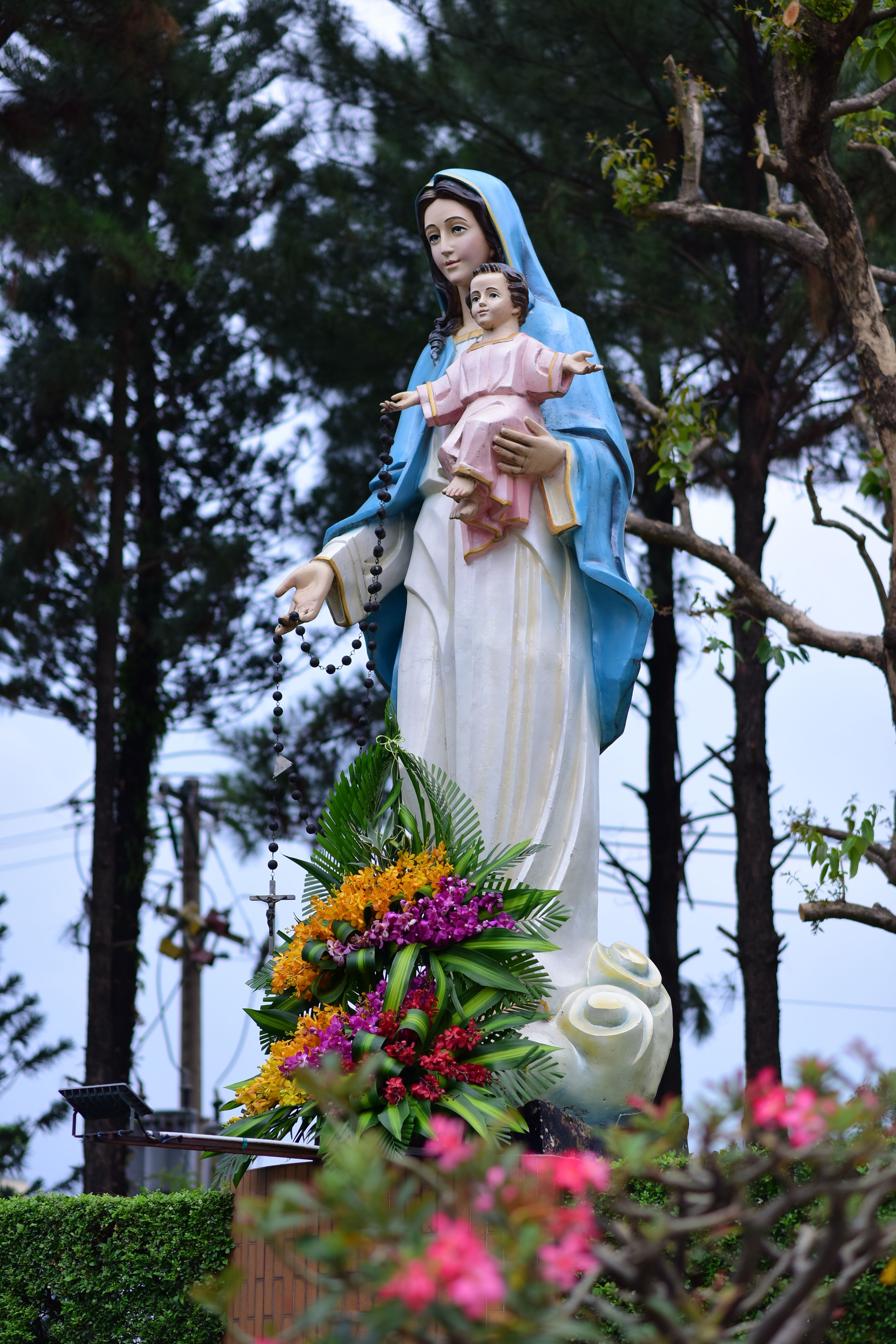 Saint Mary Photos, Download The BEST Free Saint Mary Stock Photos & HD ...