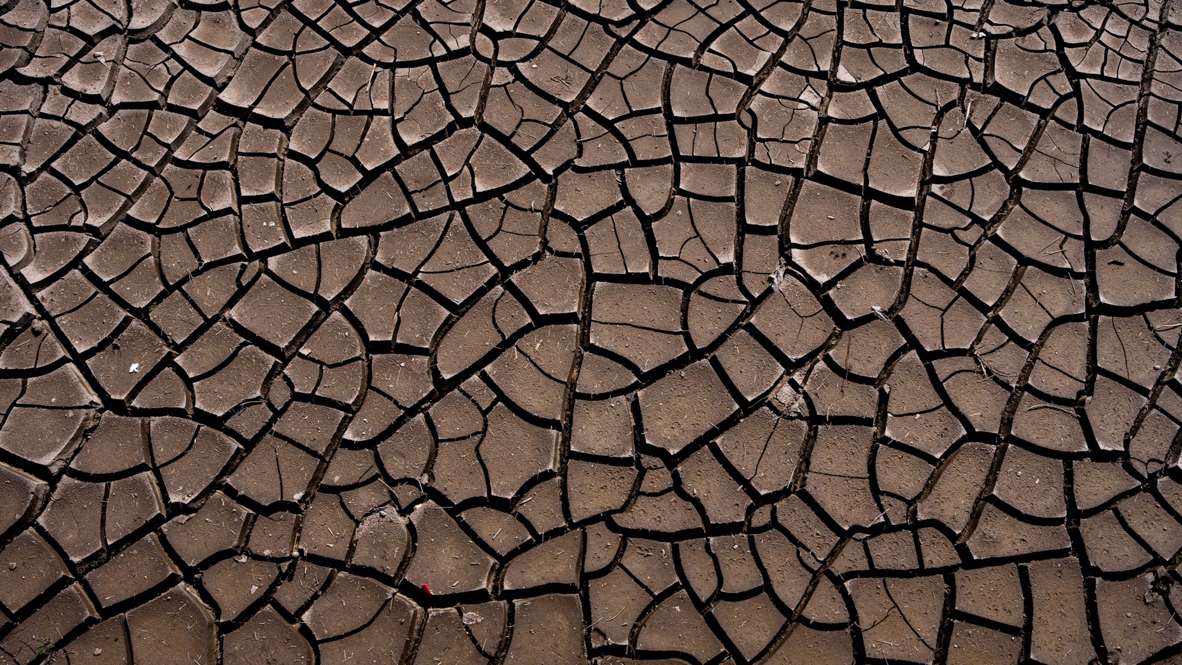 (Land Scarcity Photos, Download The BEST Free (Land Scarcity Stock ...