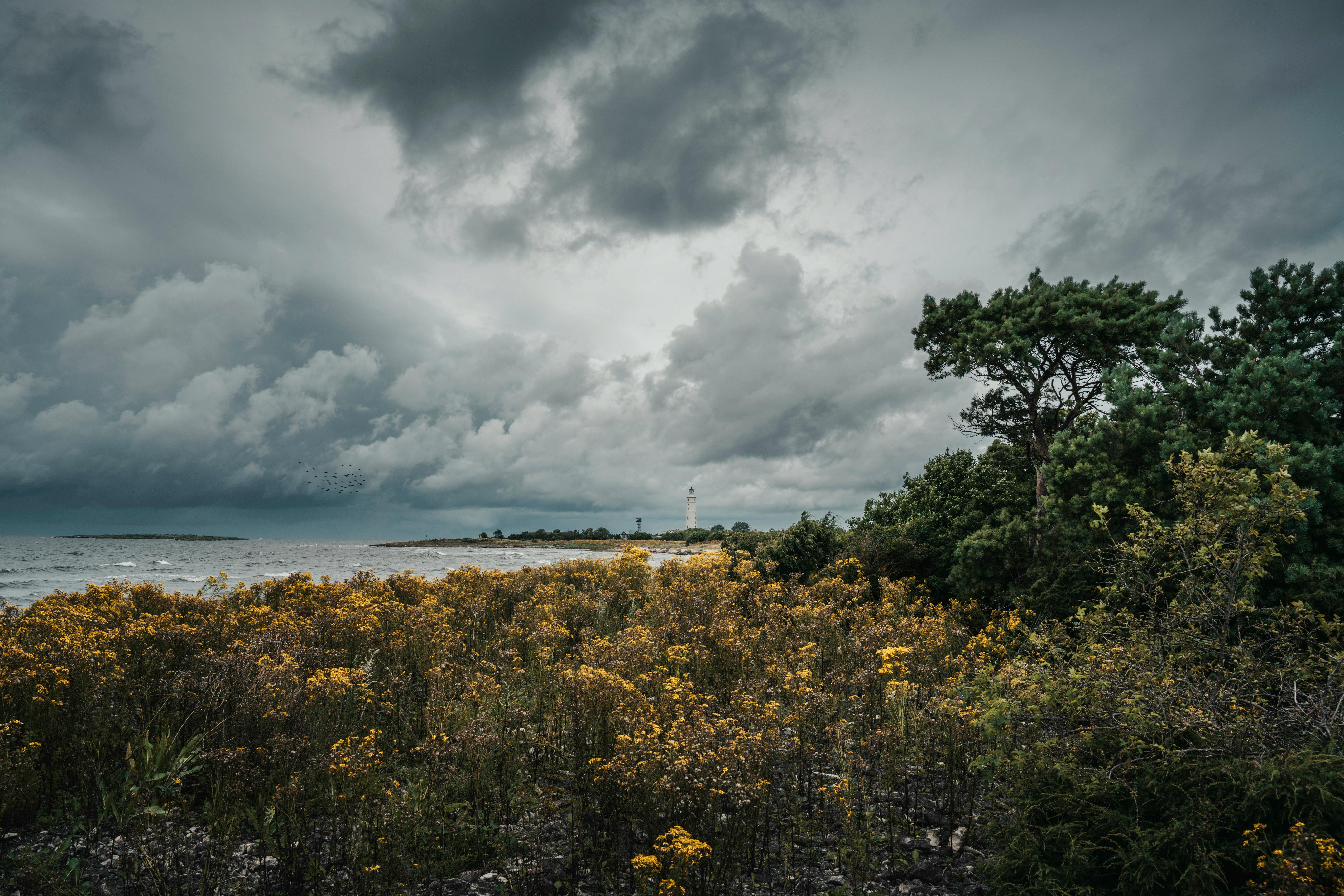Dramatic Sky Over Vilsandi Island Lighthouse · Free Stock Photo