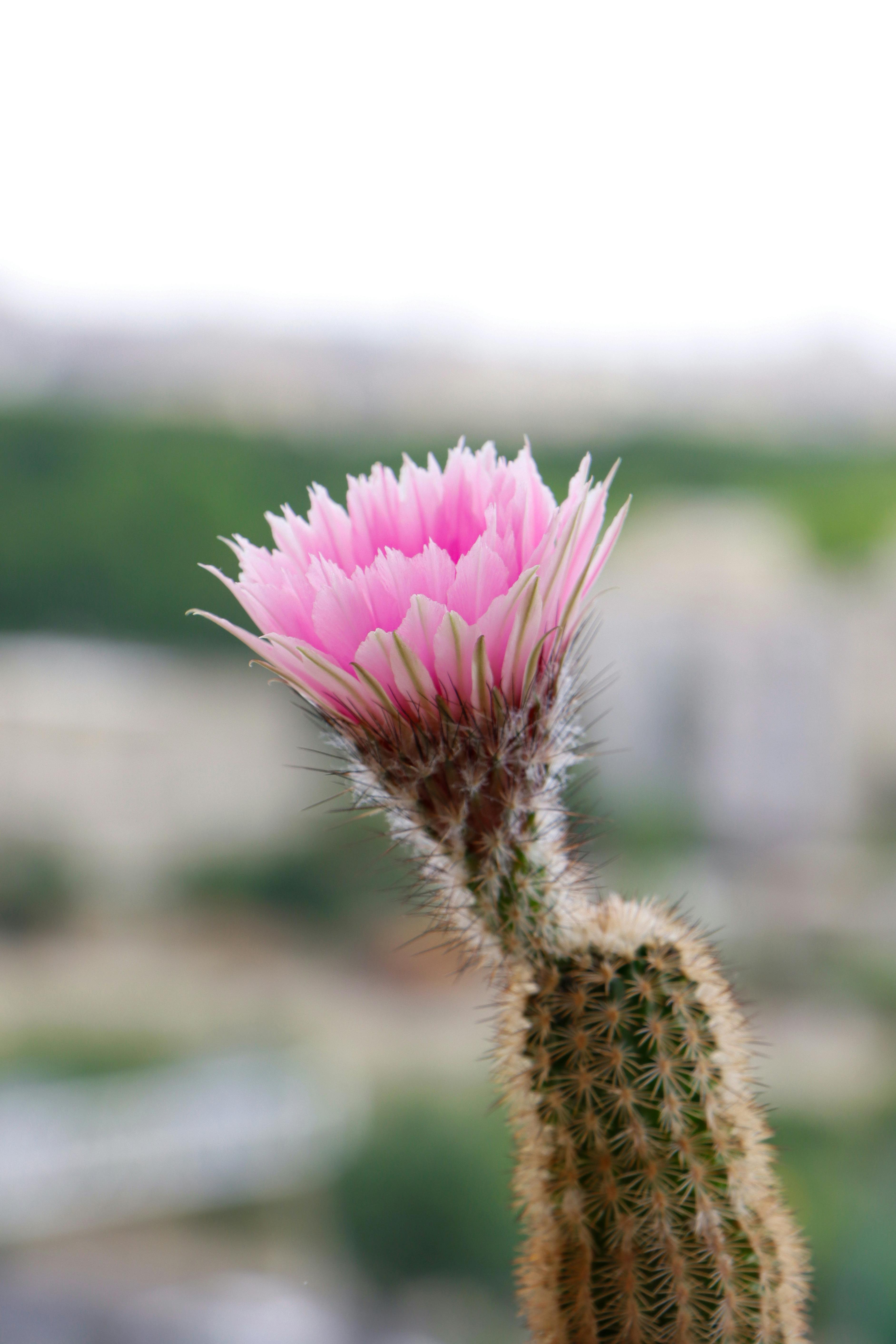 Depth Wallpaper 4k Photos, Download The BEST Free Depth Wallpaper 4k ...