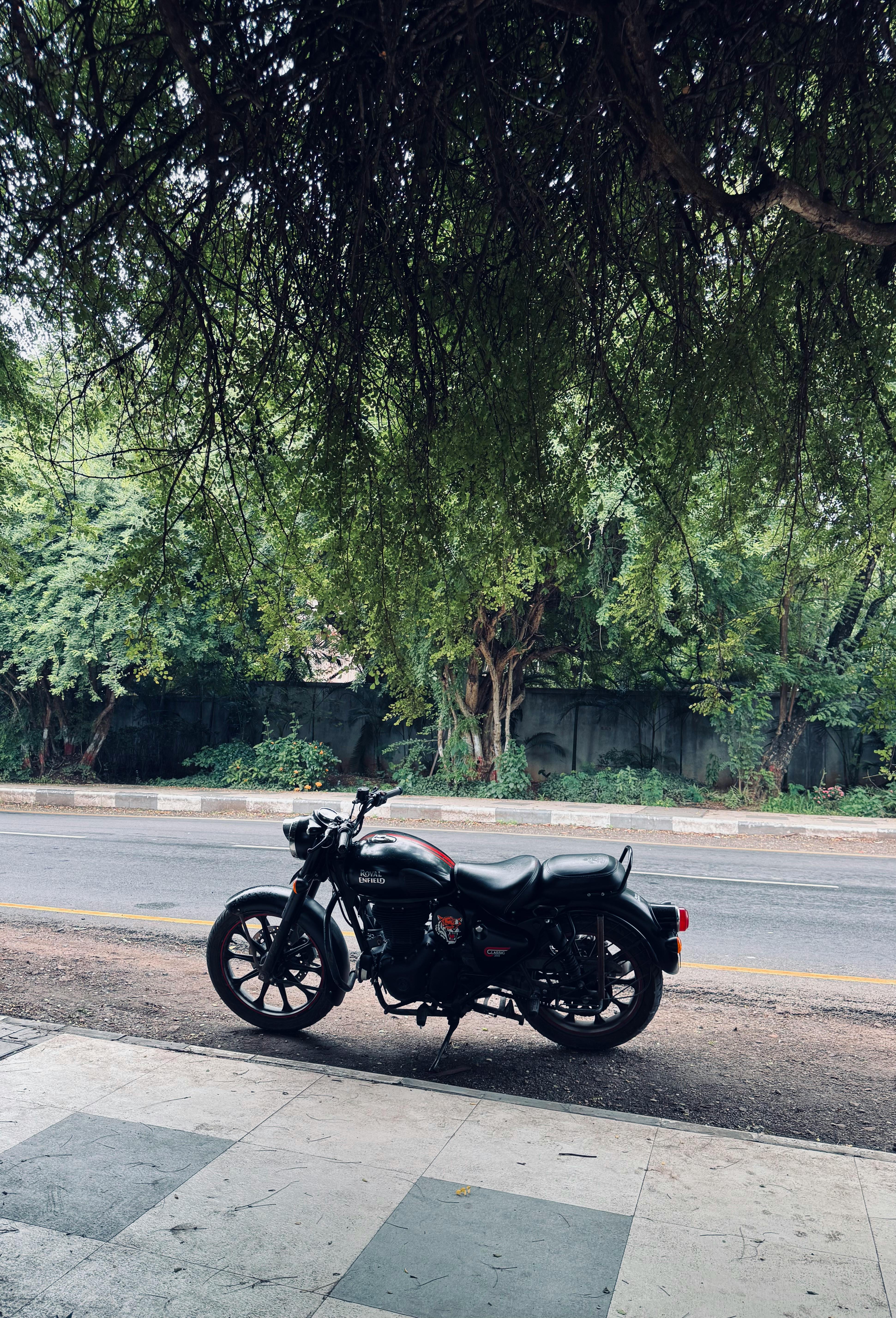 Rapa Bike Photos, Download The BEST Free Rapa Bike Stock Photos & HD Images