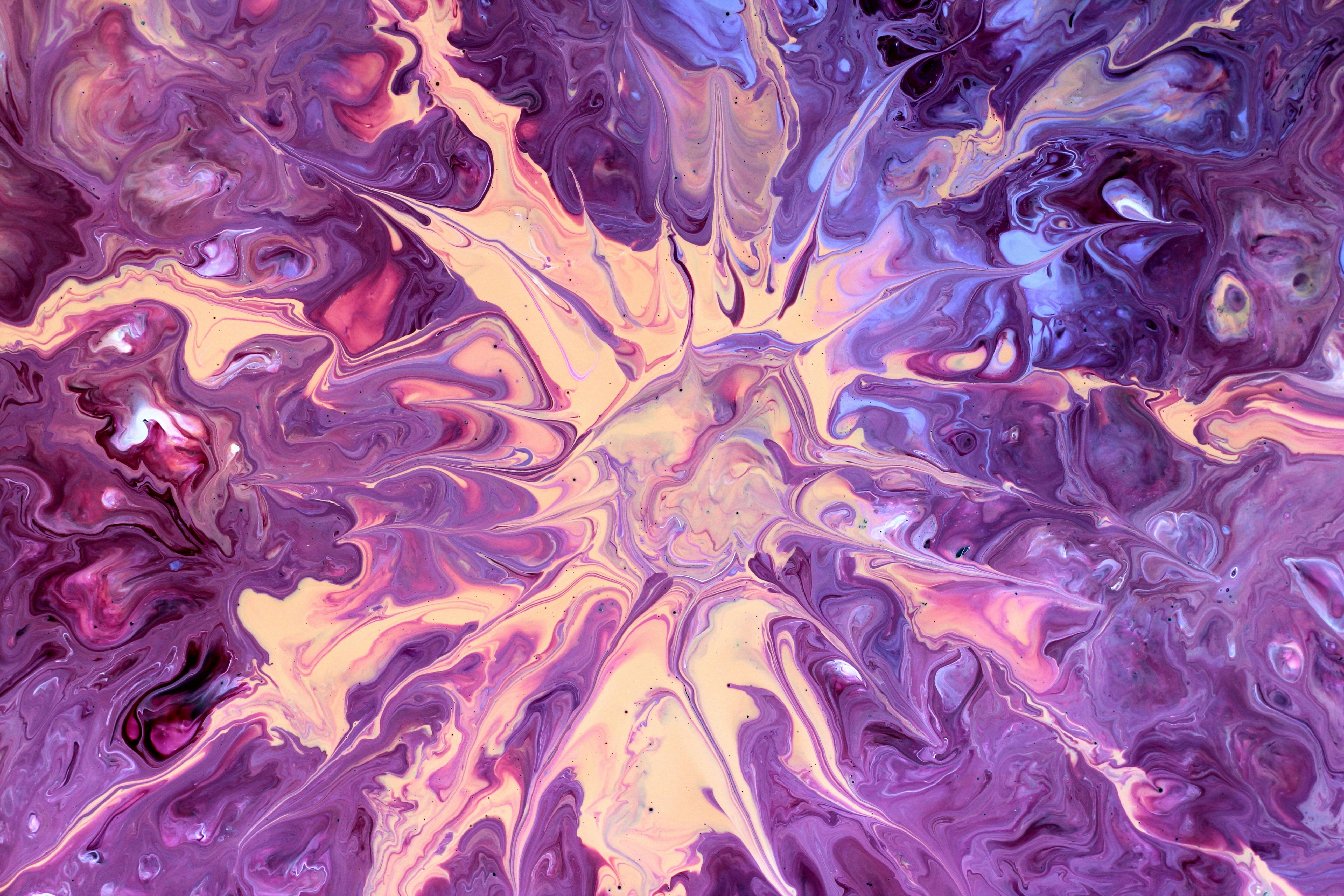 Pink Flowerish Photos, Download The BEST Free Pink Flowerish Stock ...