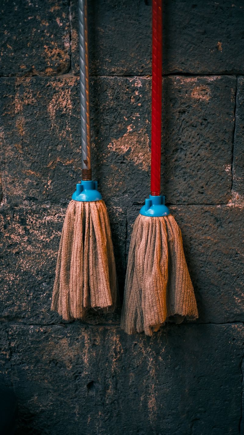 Mop Photos, Download The BEST Free Mop Stock Photos & HD Images