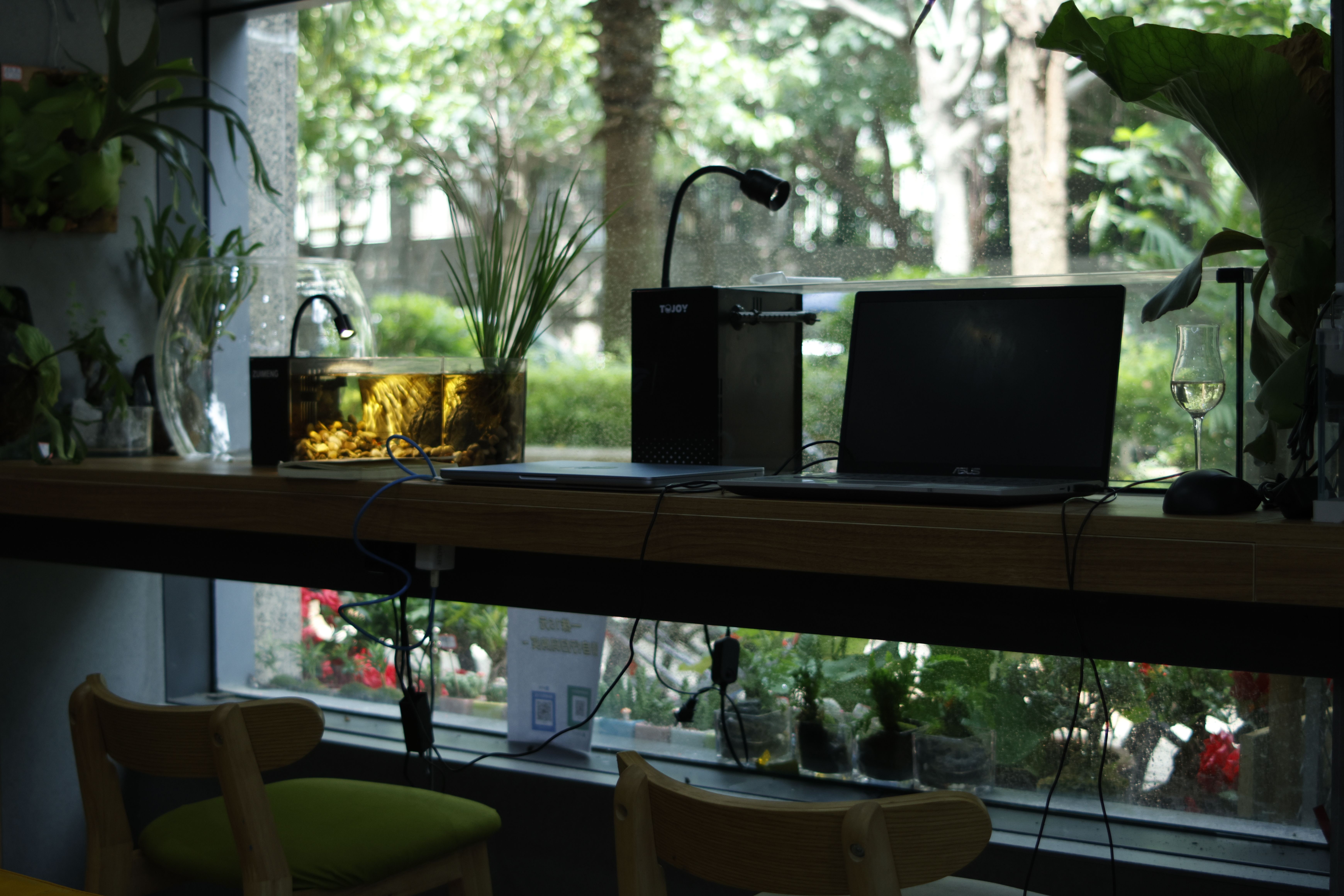 Cozy Indoor Workspace with Aquarium and Laptop · Free Stock Photo