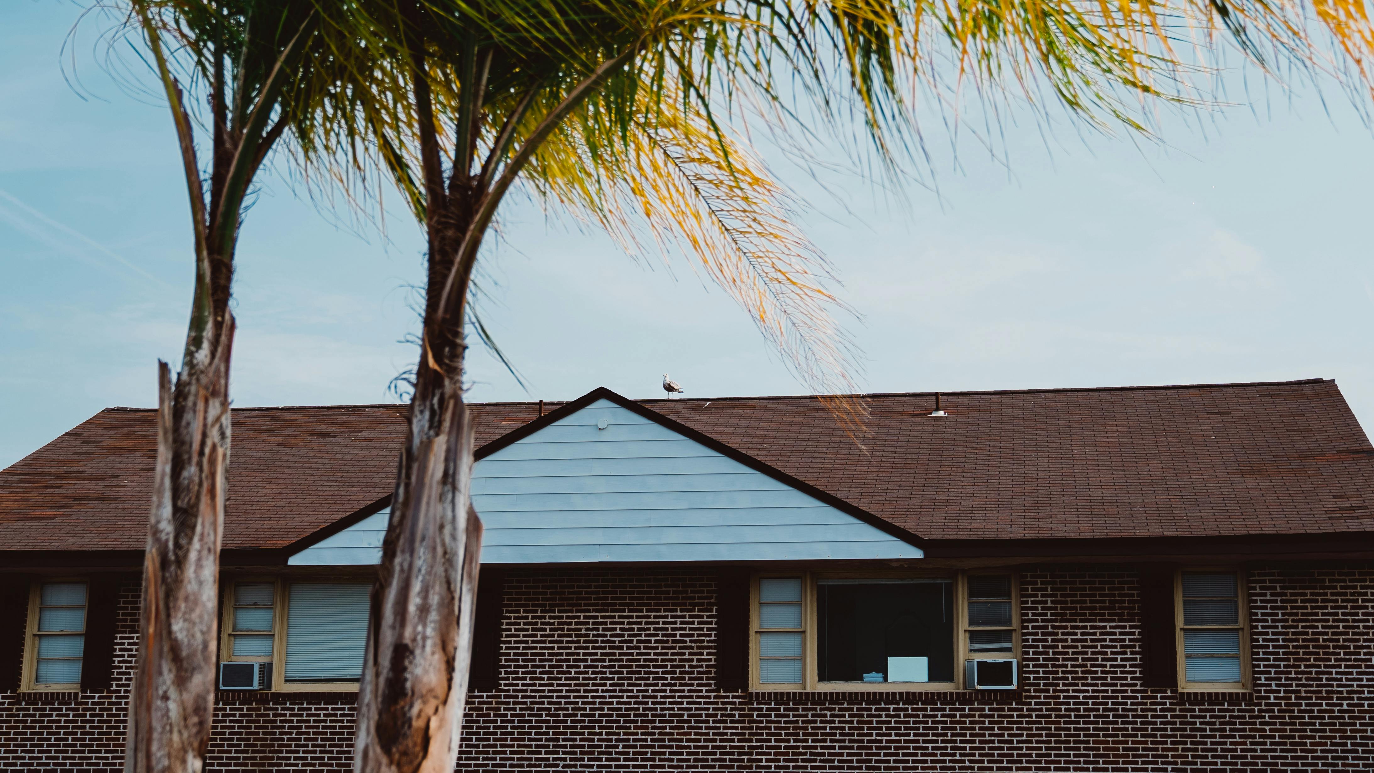 Awesome Pictures 34 Photos & Videos Collected by Christian West