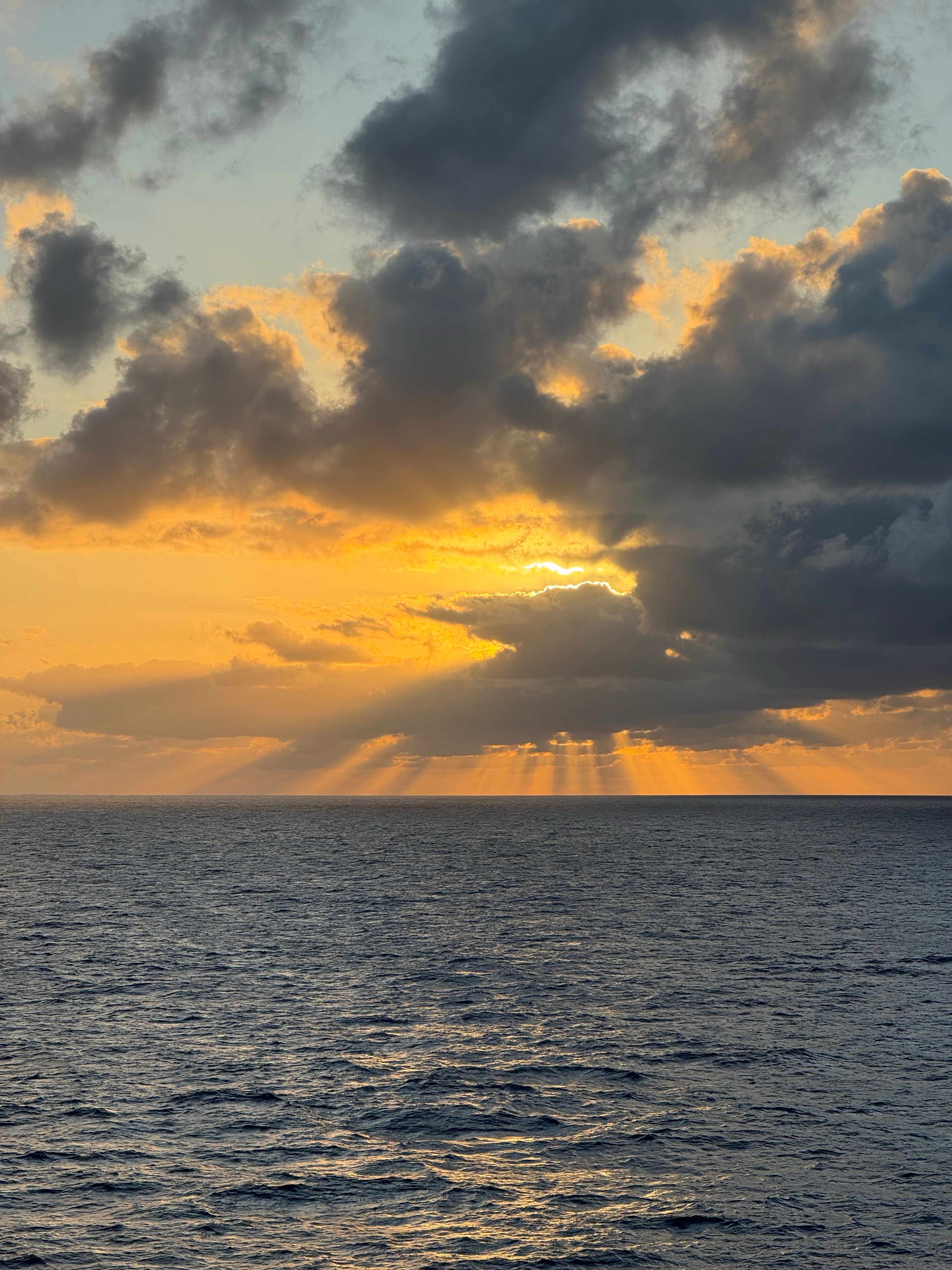 Beginnings Photos, Download The BEST Free Beginnings Stock Photos & HD ...