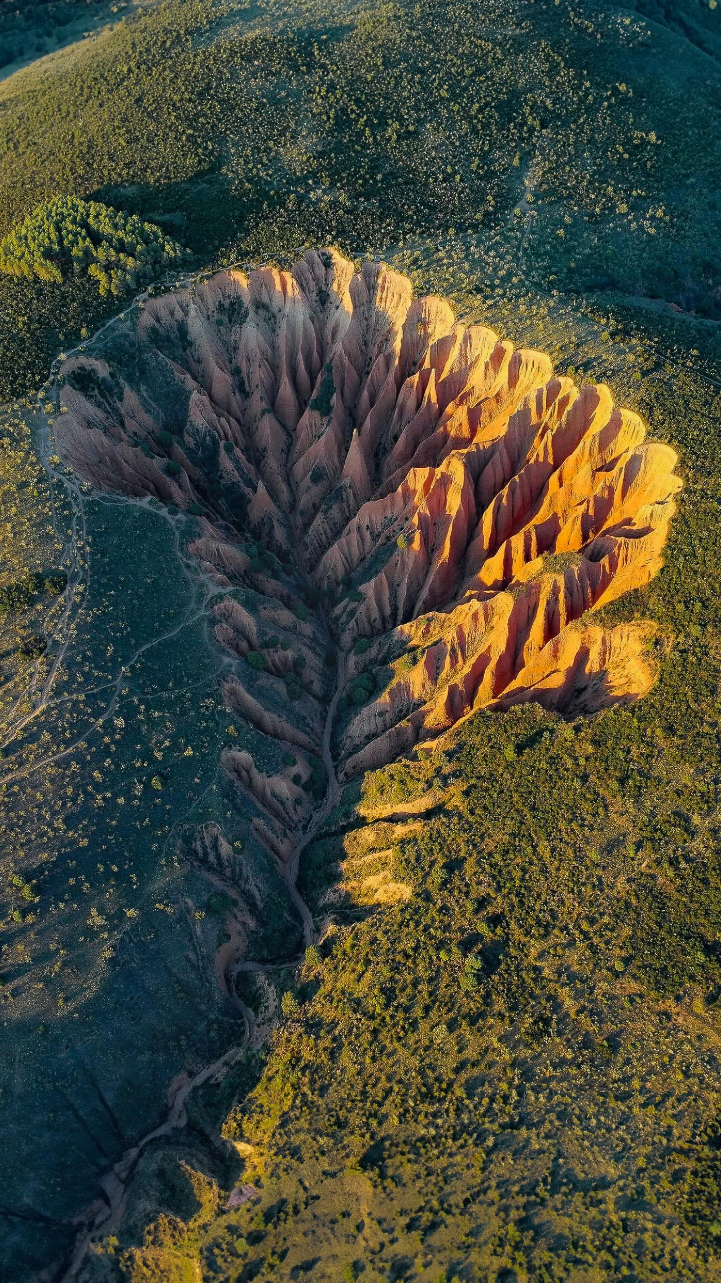 Alejandro De Roa - 摄影