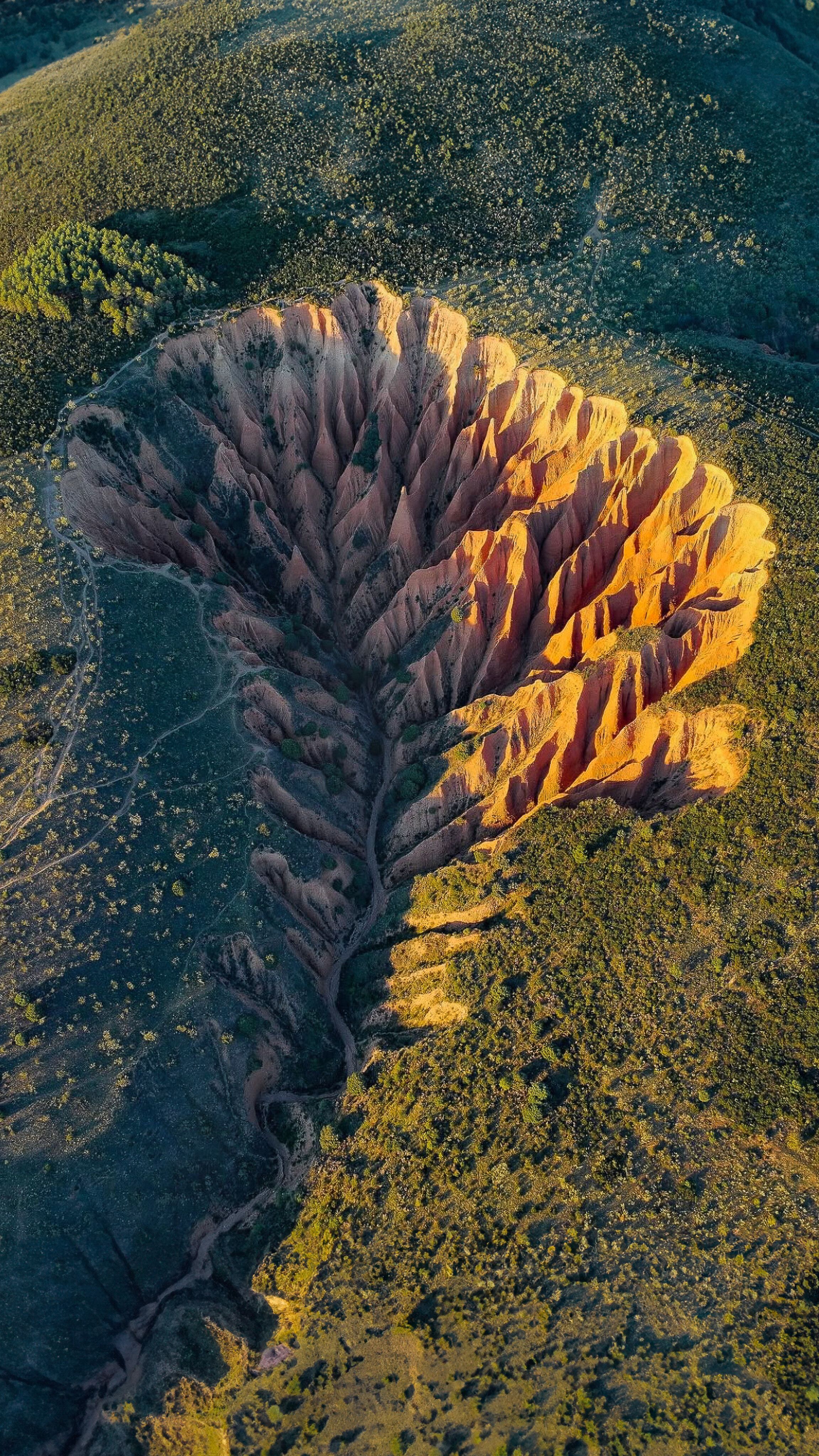Aerial View of Vibrant Eroded Rock Formation · Free Stock Photo