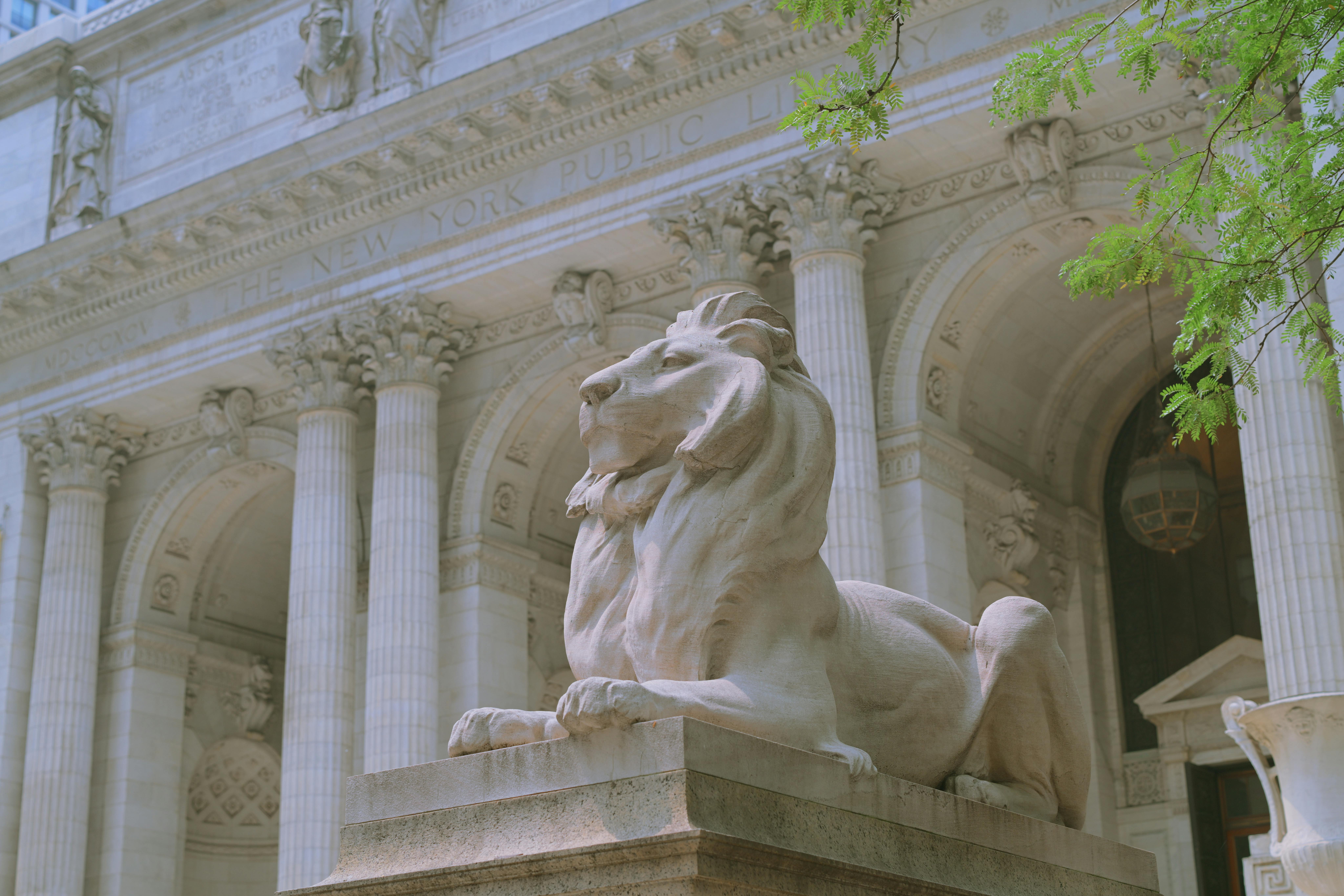 Library Pillars Photos, Download The BEST Free Library Pillars Stock ...