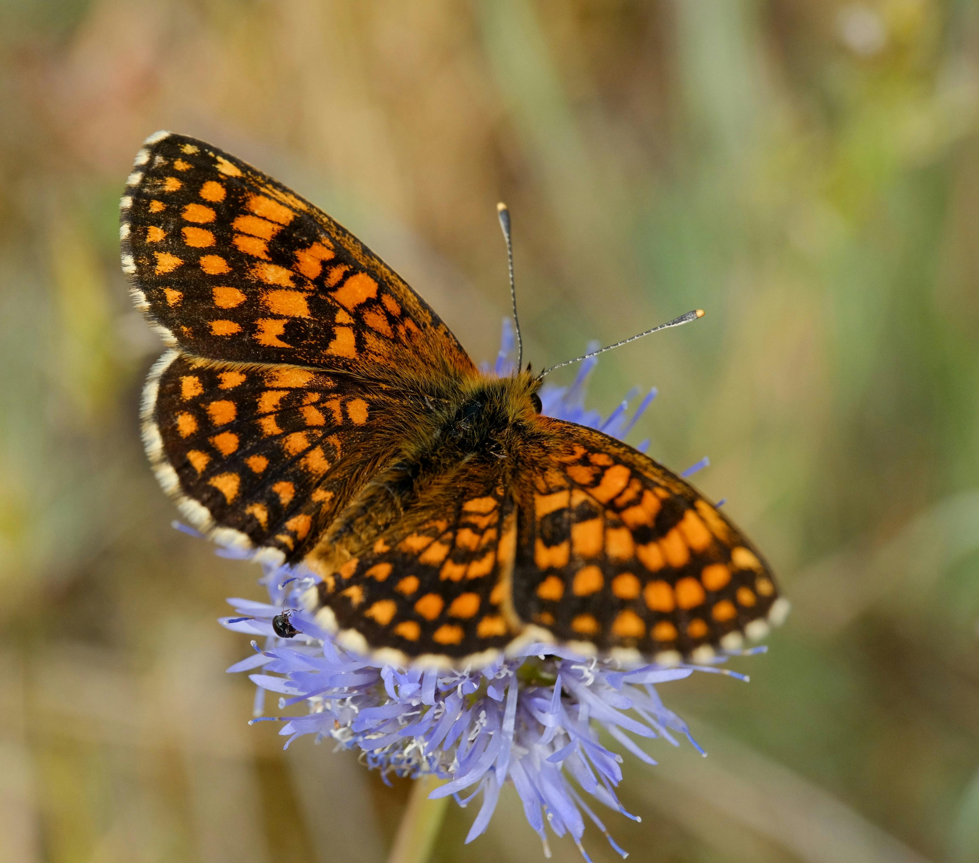 1584 X 396 Photos, Download The BEST Free 1584 X 396 Stock Photos & HD ...