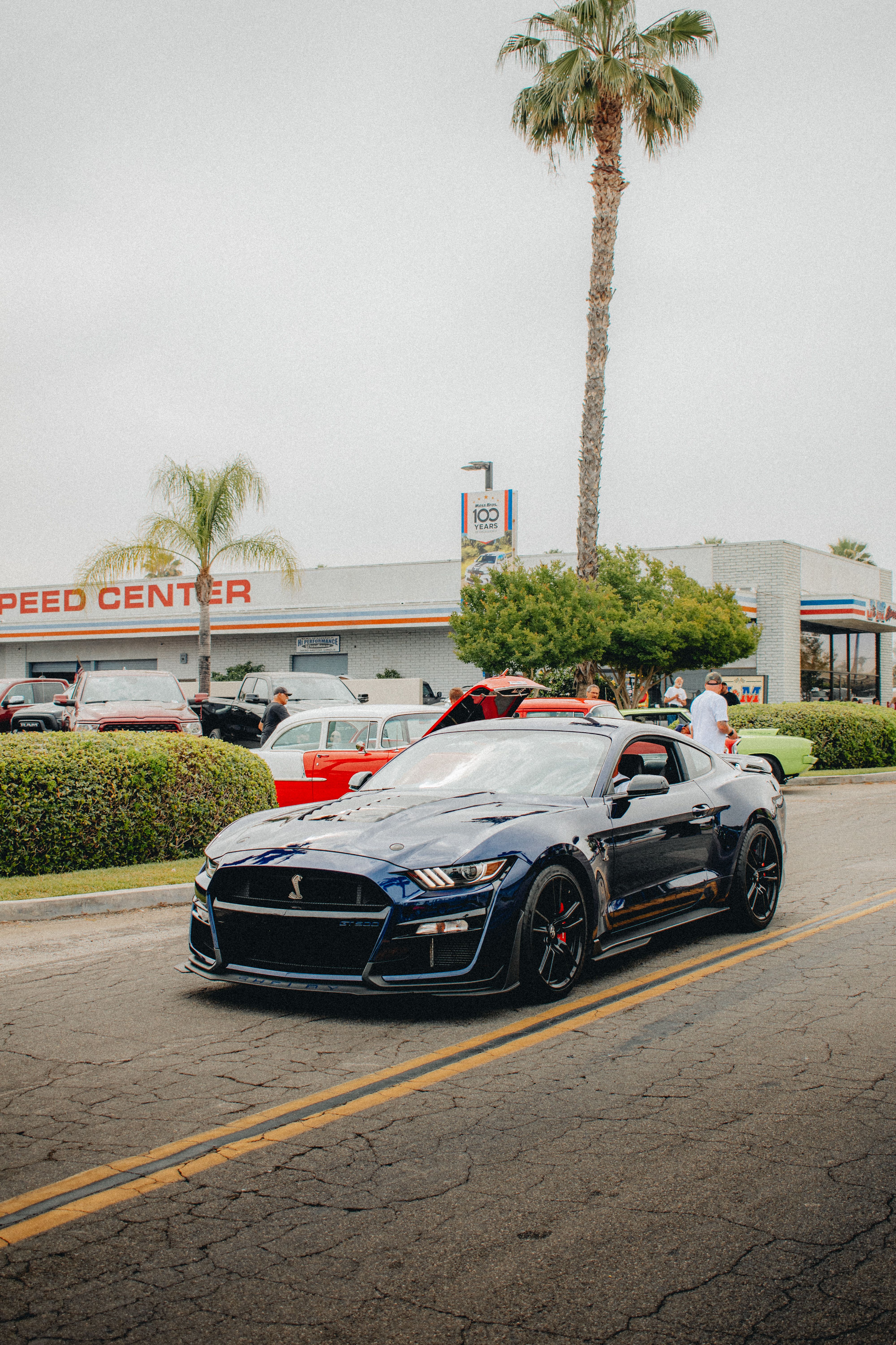 Black Ford Mustang at Car Show Outdoors · Free Stock Photo