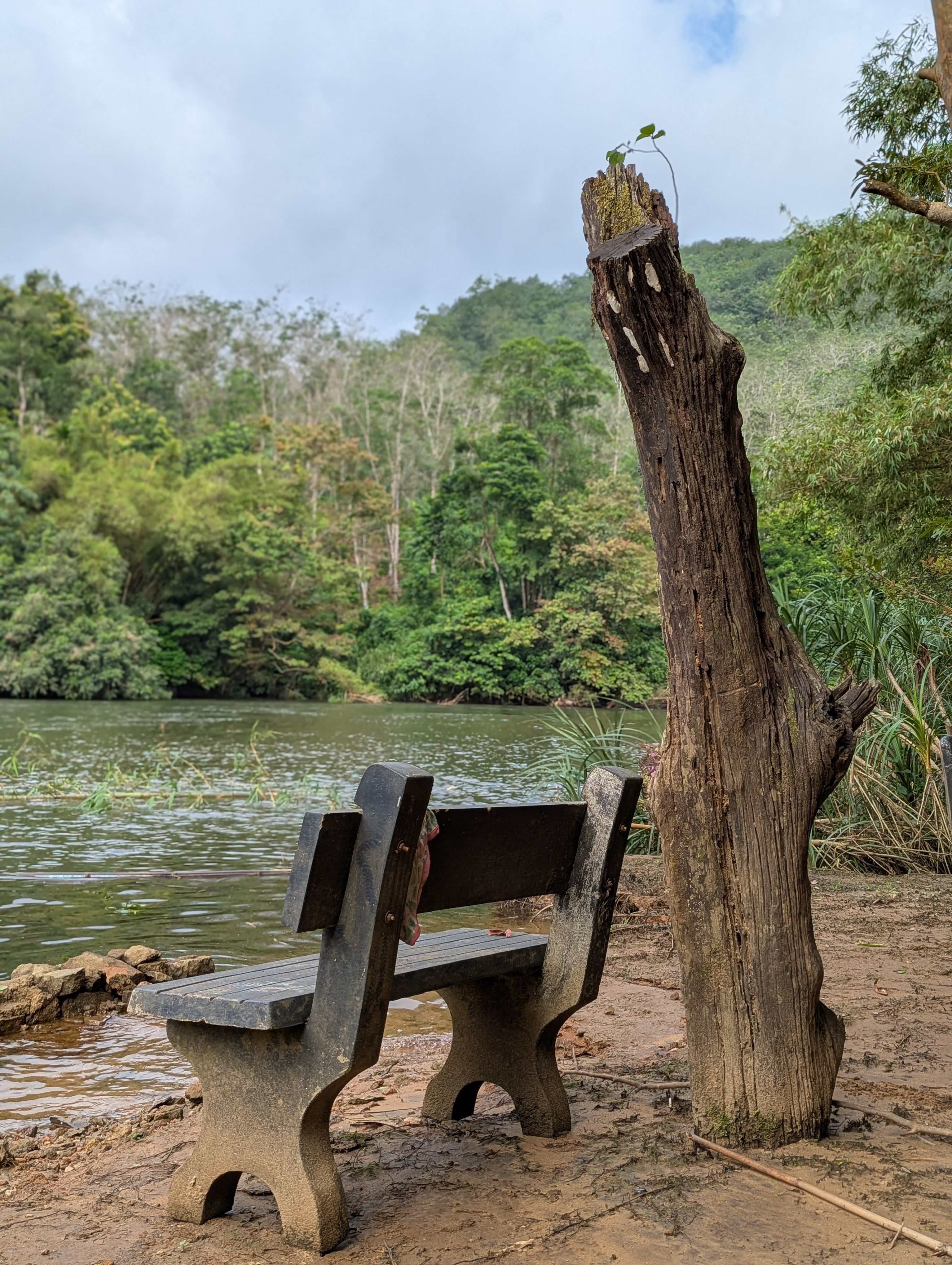 Scenic Riverside Bench in Theligama, Sri Lanka · Free Stock Photo