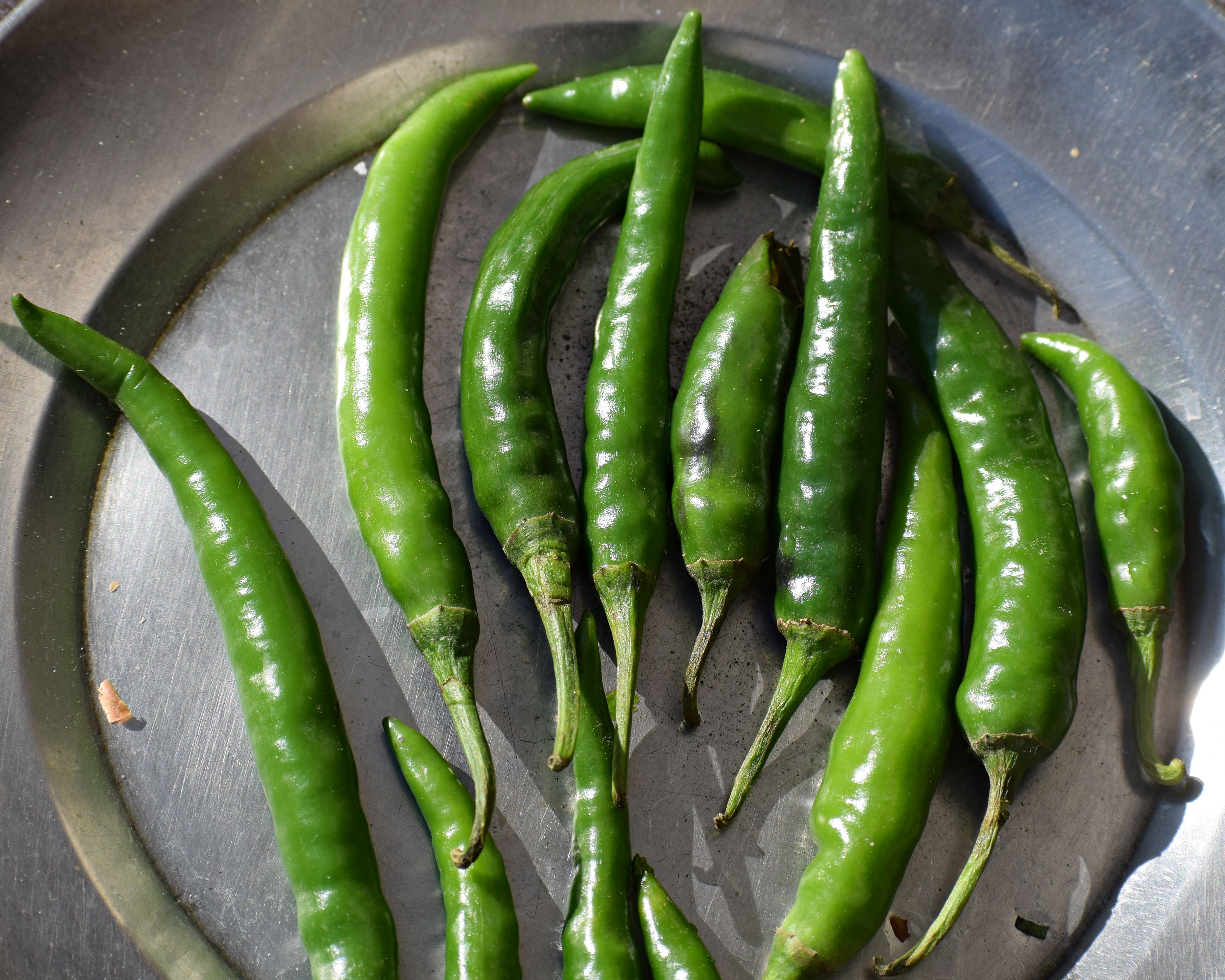 Free stock photo of chili, chilies, cooking