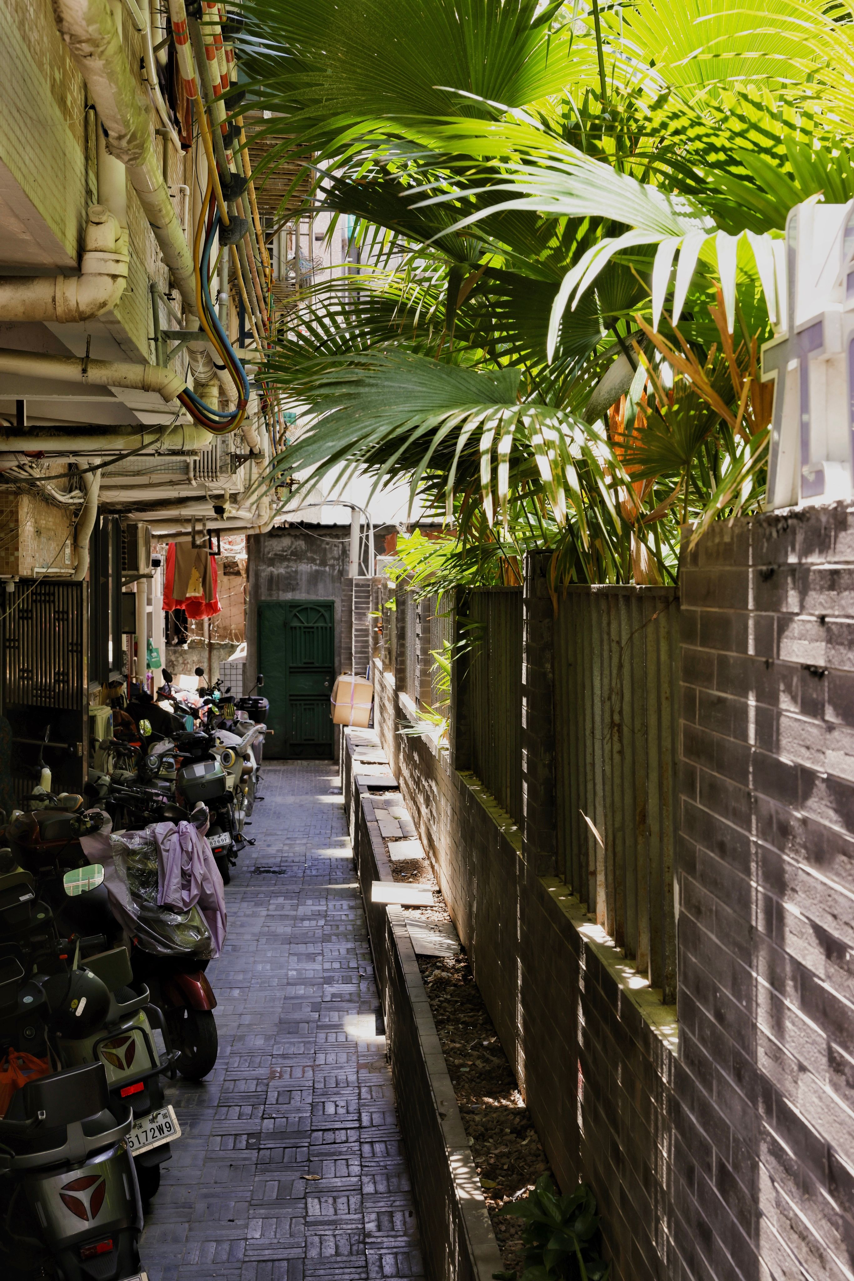 Backstreet Photos, Download The BEST Free Backstreet Stock Photos & HD ...