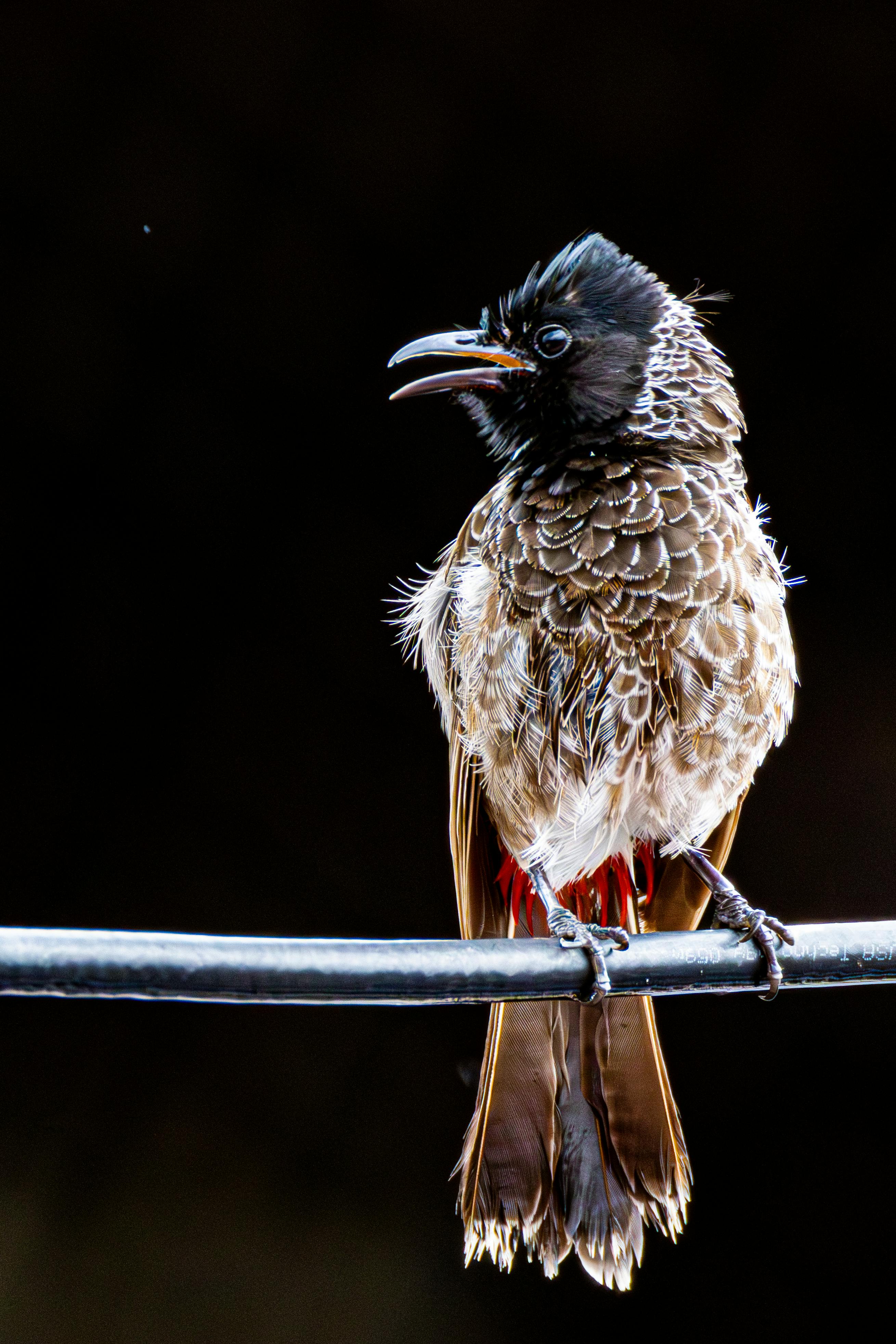 Airconditioned Cafer Photos, Download The BEST Free Airconditioned ...