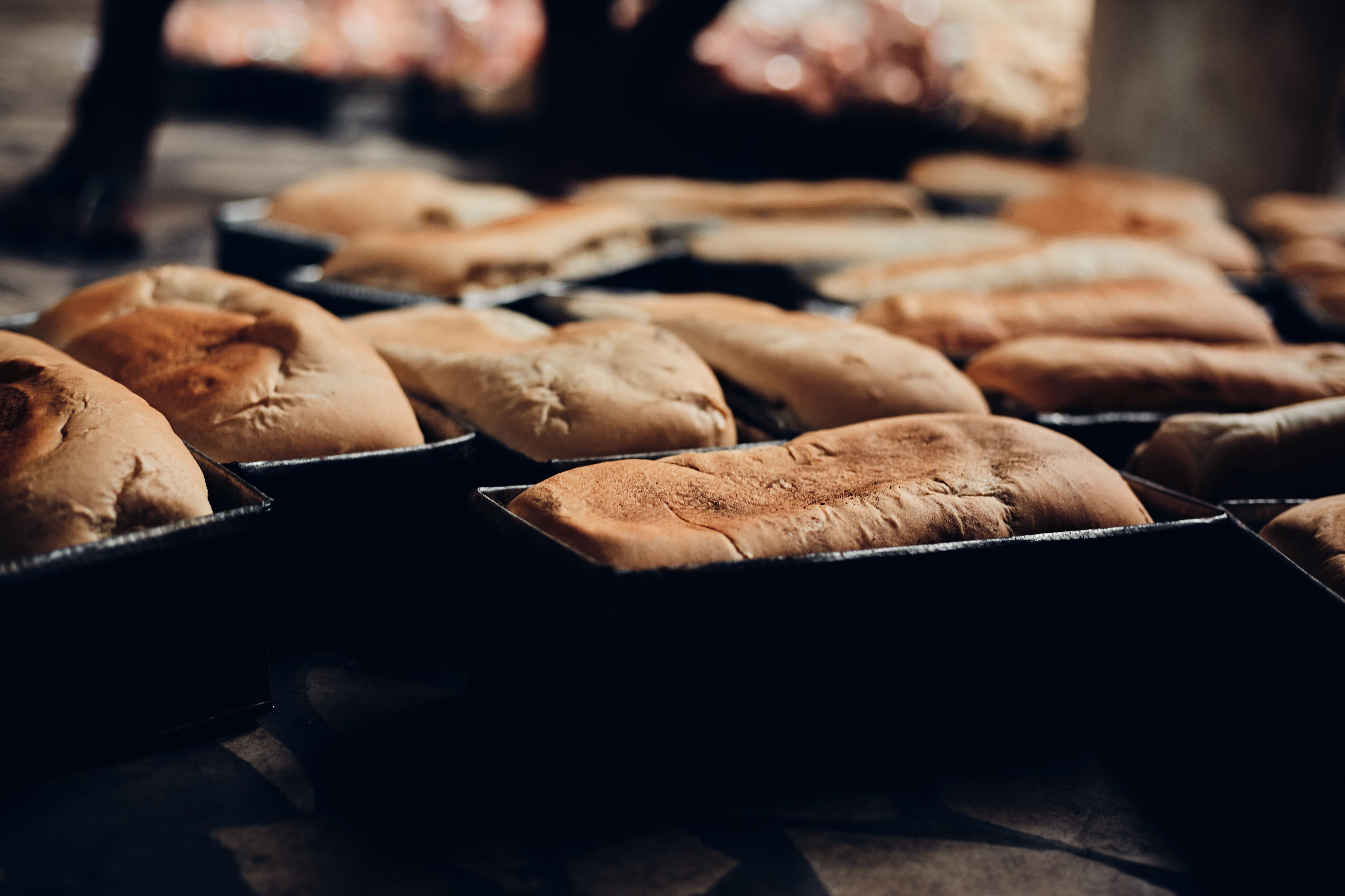 Sock Crust Photos, Download The BEST Free Sock Crust Stock Photos & HD ...