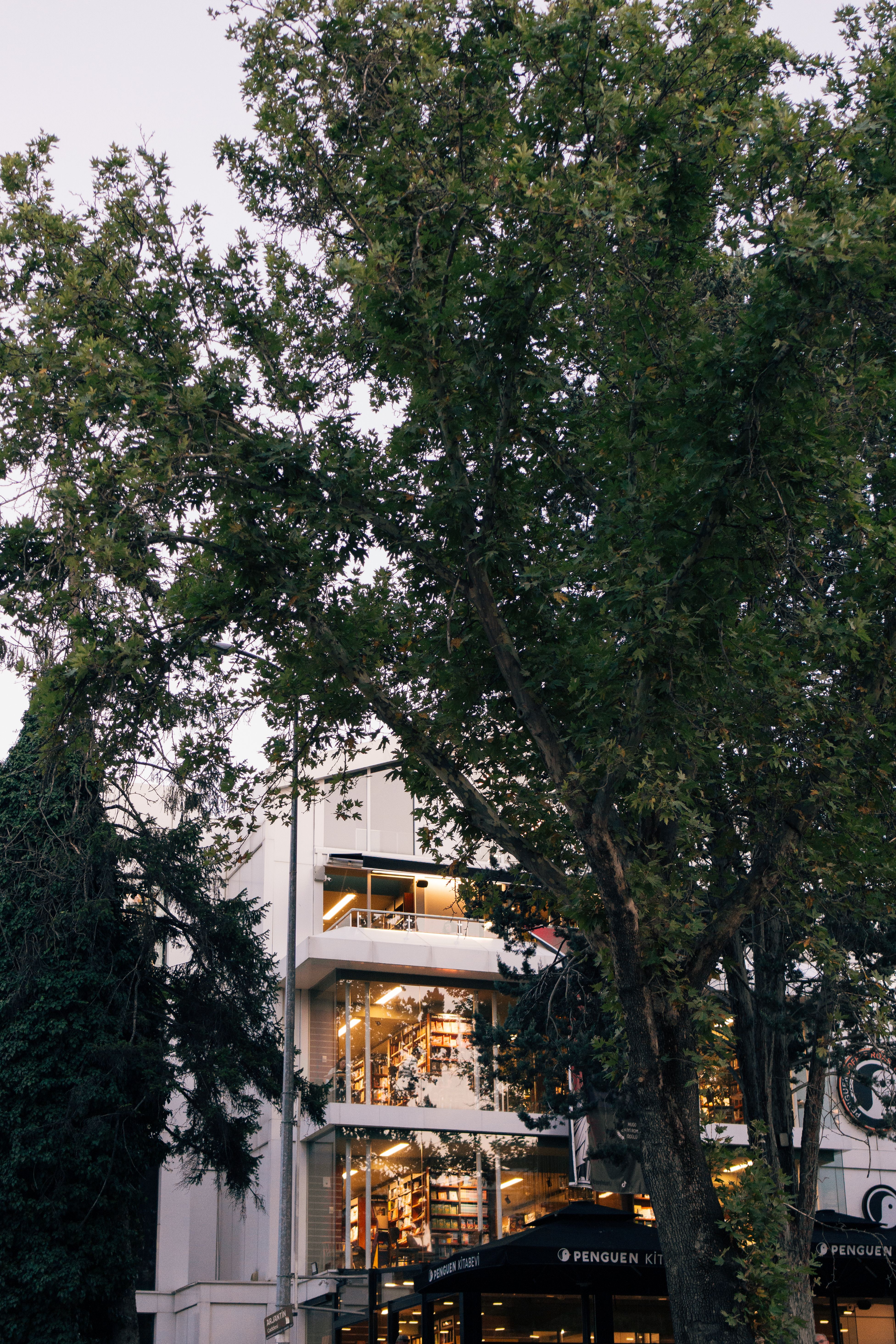 Modern Café Amidst Lush Trees in Ankara, Türkiye · Free Stock Photo