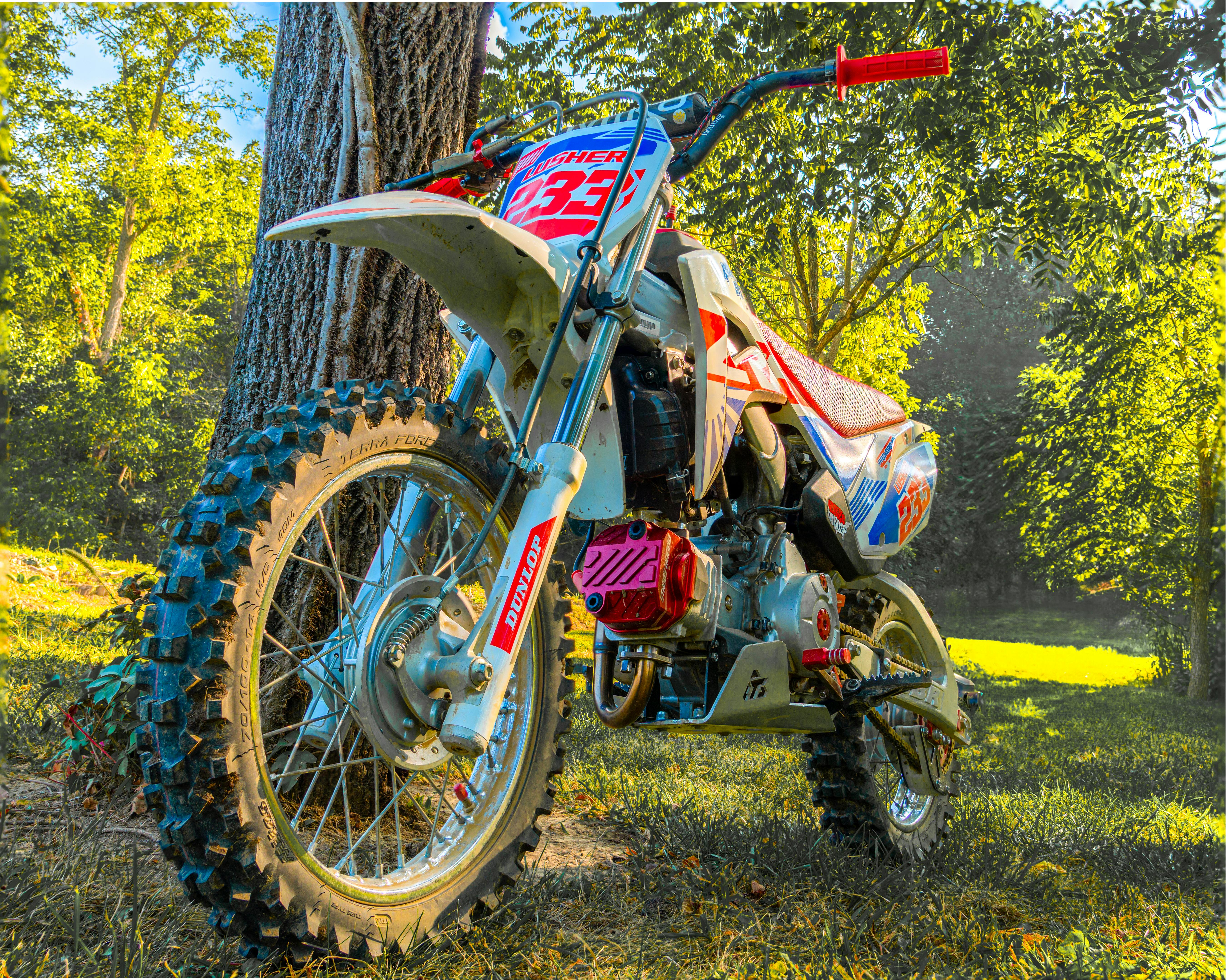 Forest Grip Photos, Download The BEST Free Forest Grip Stock Photos ...