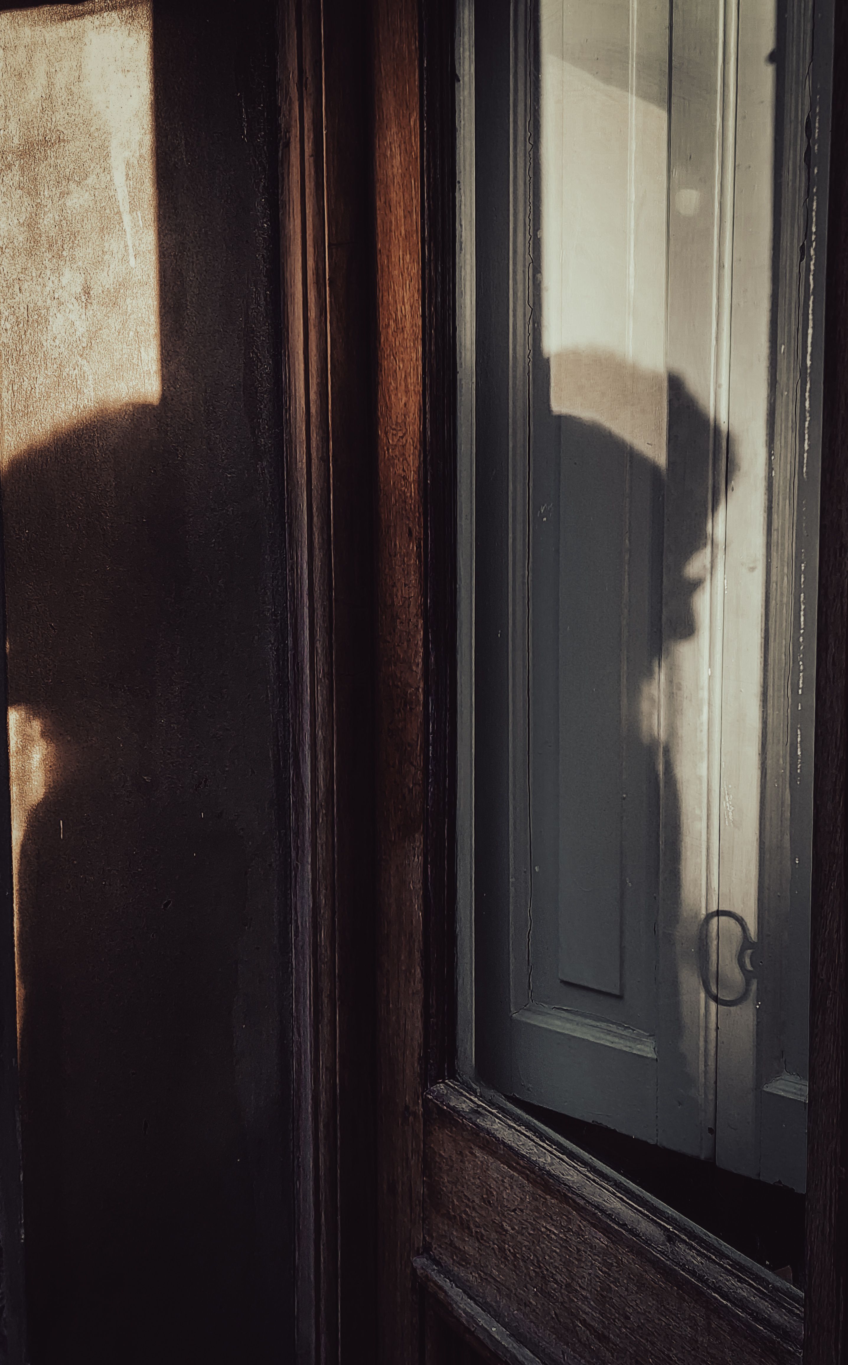 Mysterious Shadow Cast on Wooden Door · Free Stock Photo