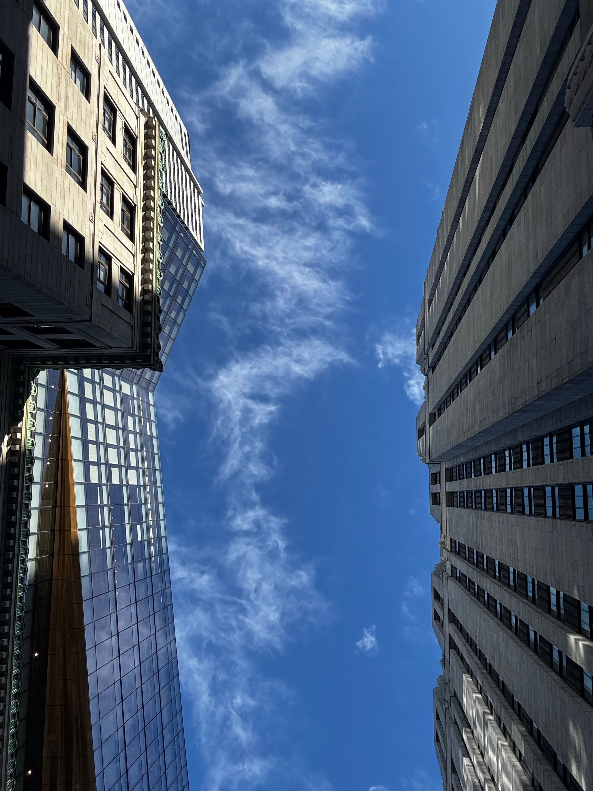 Vertical Photos, Download The BEST Free Vertical Stock Photos & HD Images