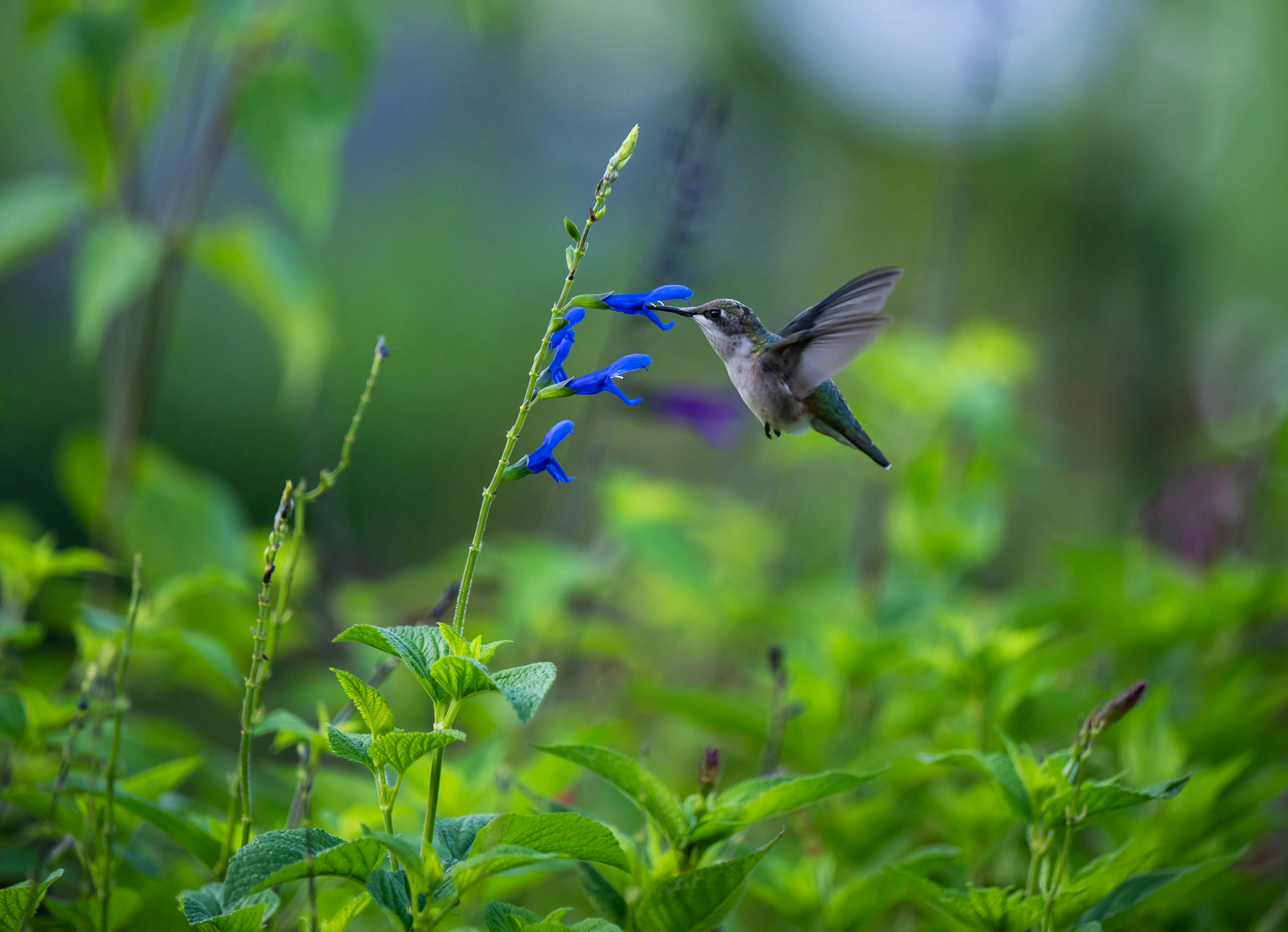 Photos, Download The BEST Free Stock Photos & HD Images