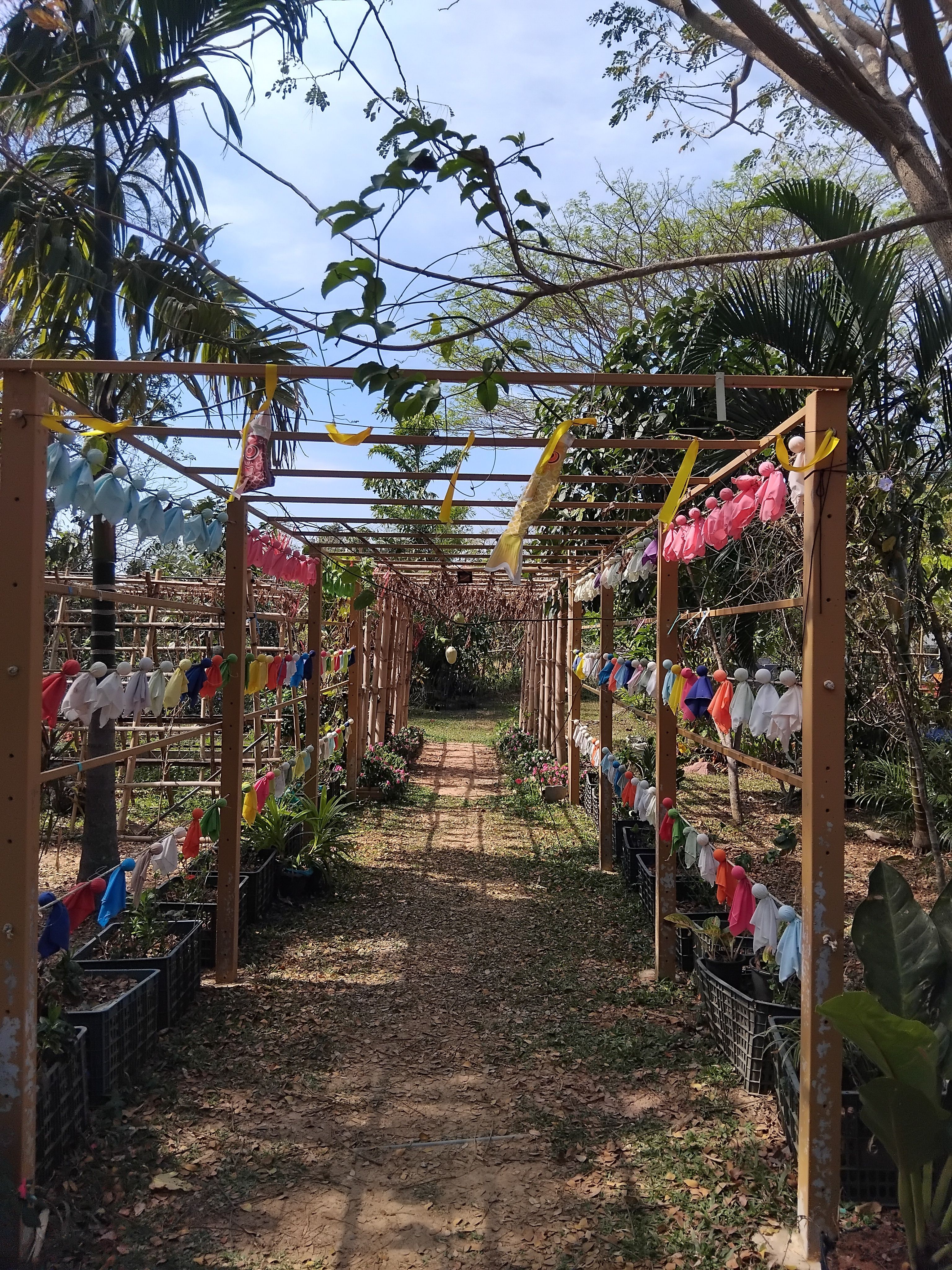 Colorful Prayer Flag Alley in Tranquil Garden · Free Stock Photo