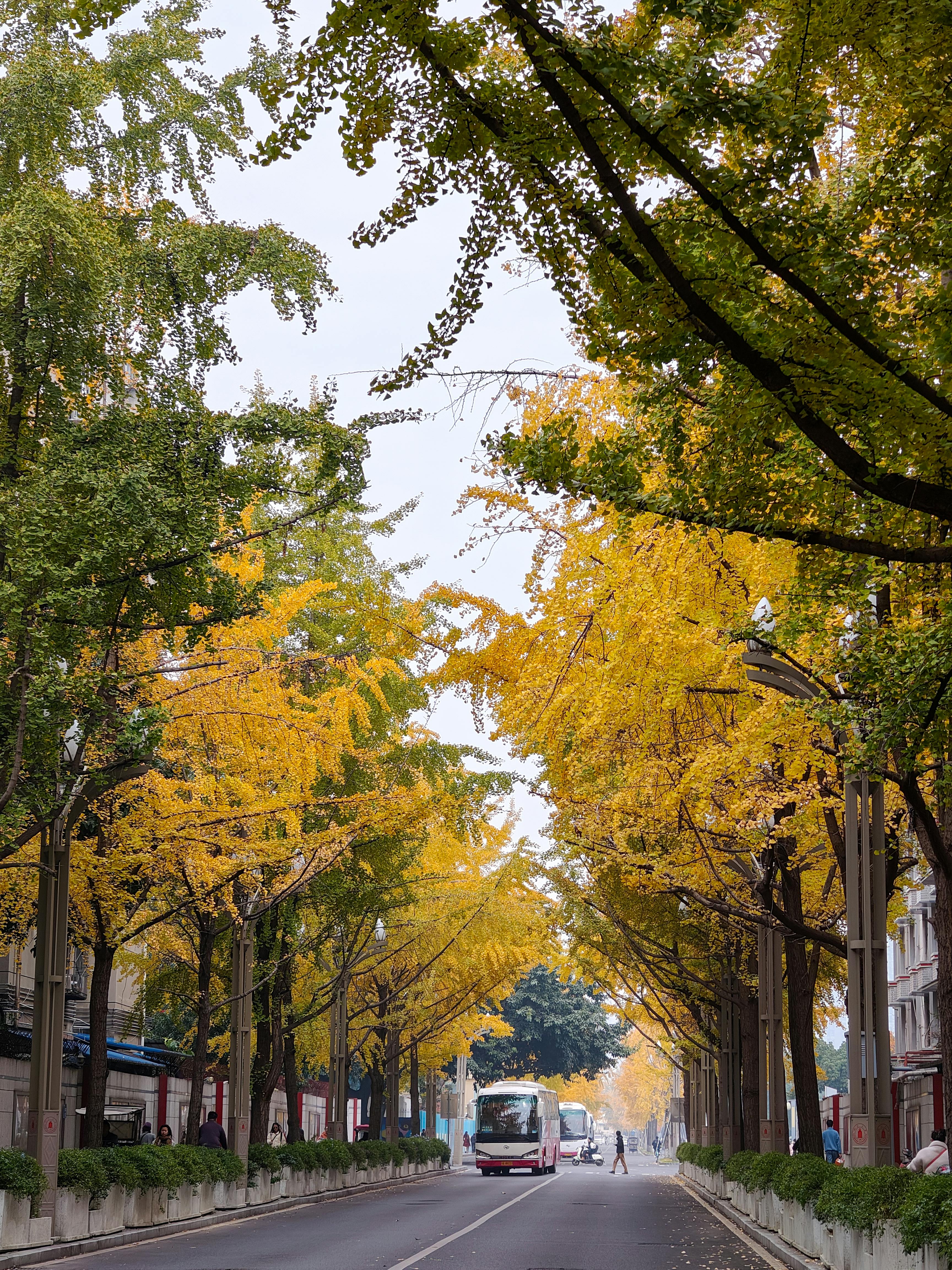 High Resolution 300 Dpi Photos, Download The BEST Free High Resolution ...