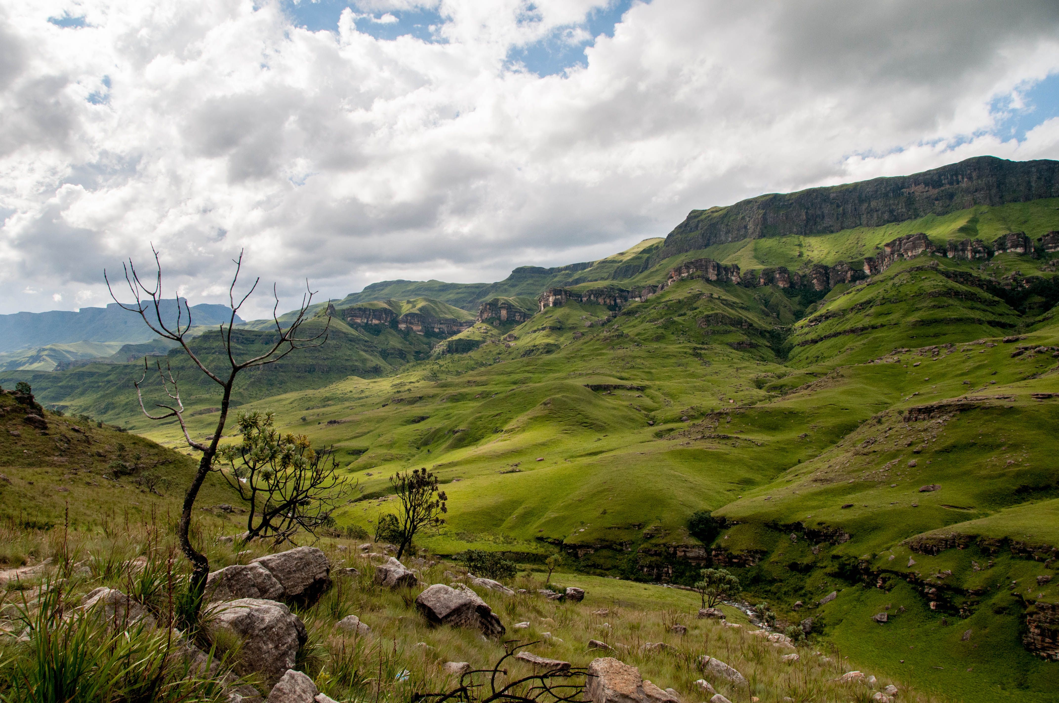 10+ Eponer+southafrica Bilder und Fotos · Kostenlos Downloaden · Pexels ...