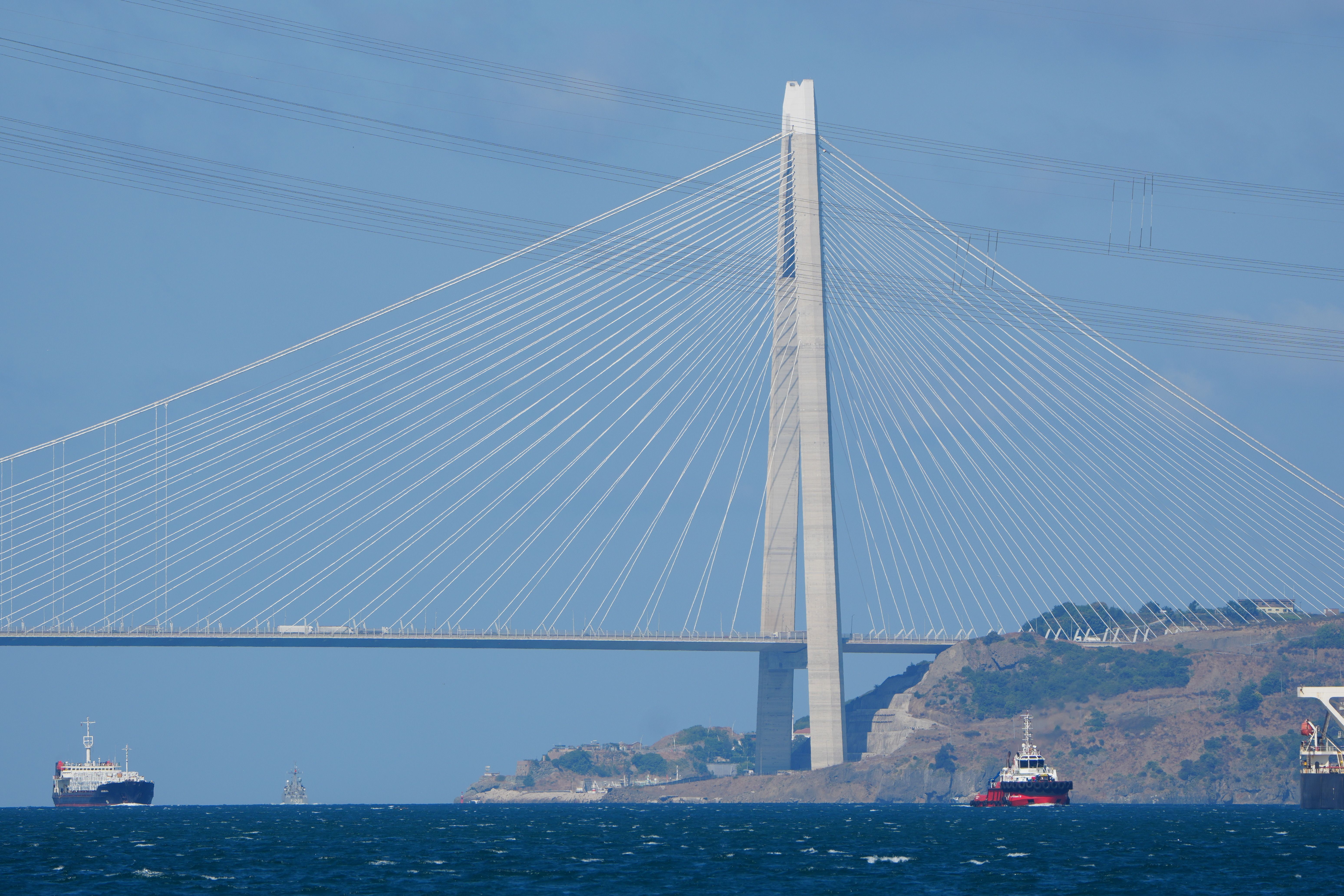 Impressive Cable-Stayed Bridge Over Calm Bay · Free Stock Photo