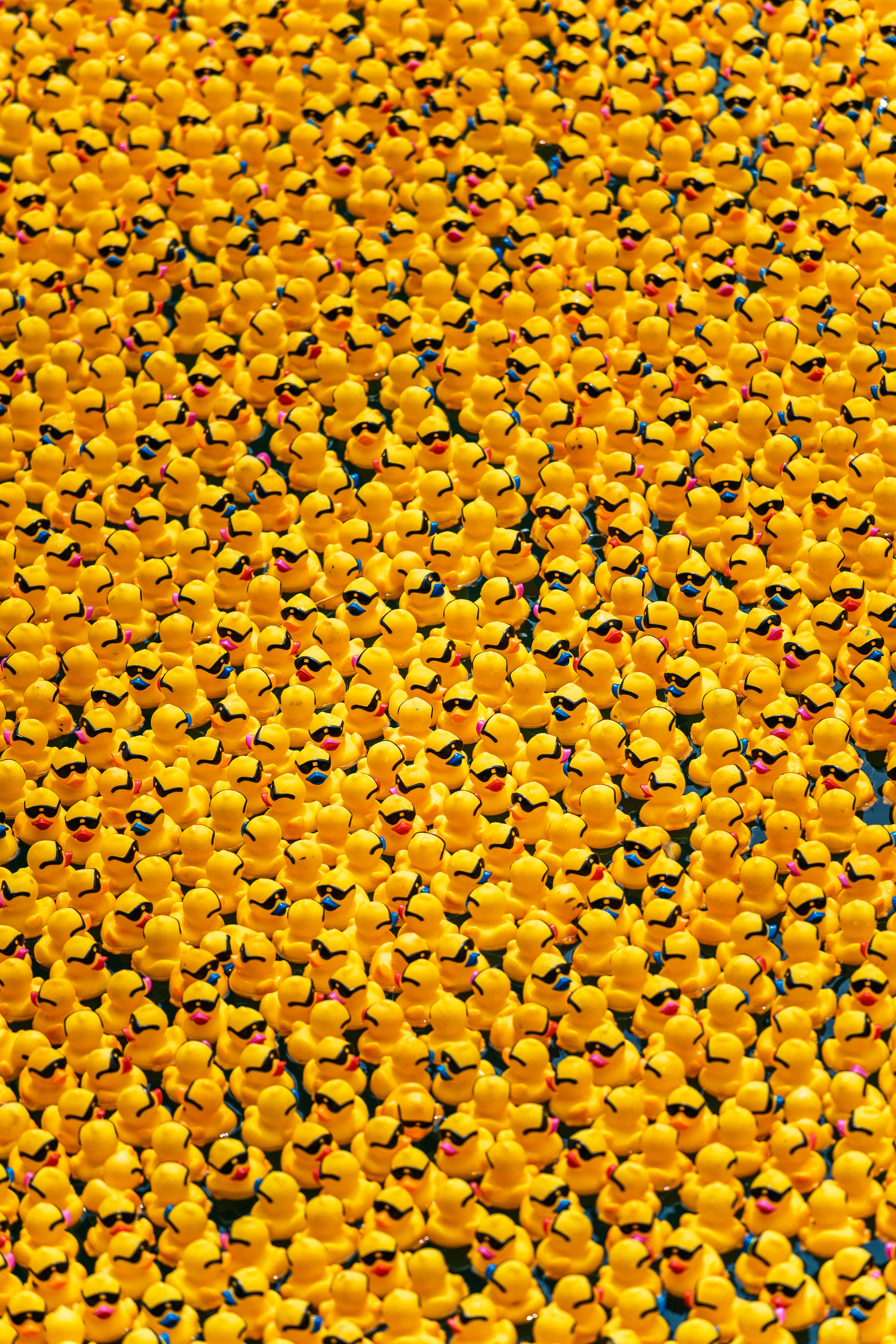 Yellow Duck Photos, Download The BEST Free Yellow Duck Stock Photos ...