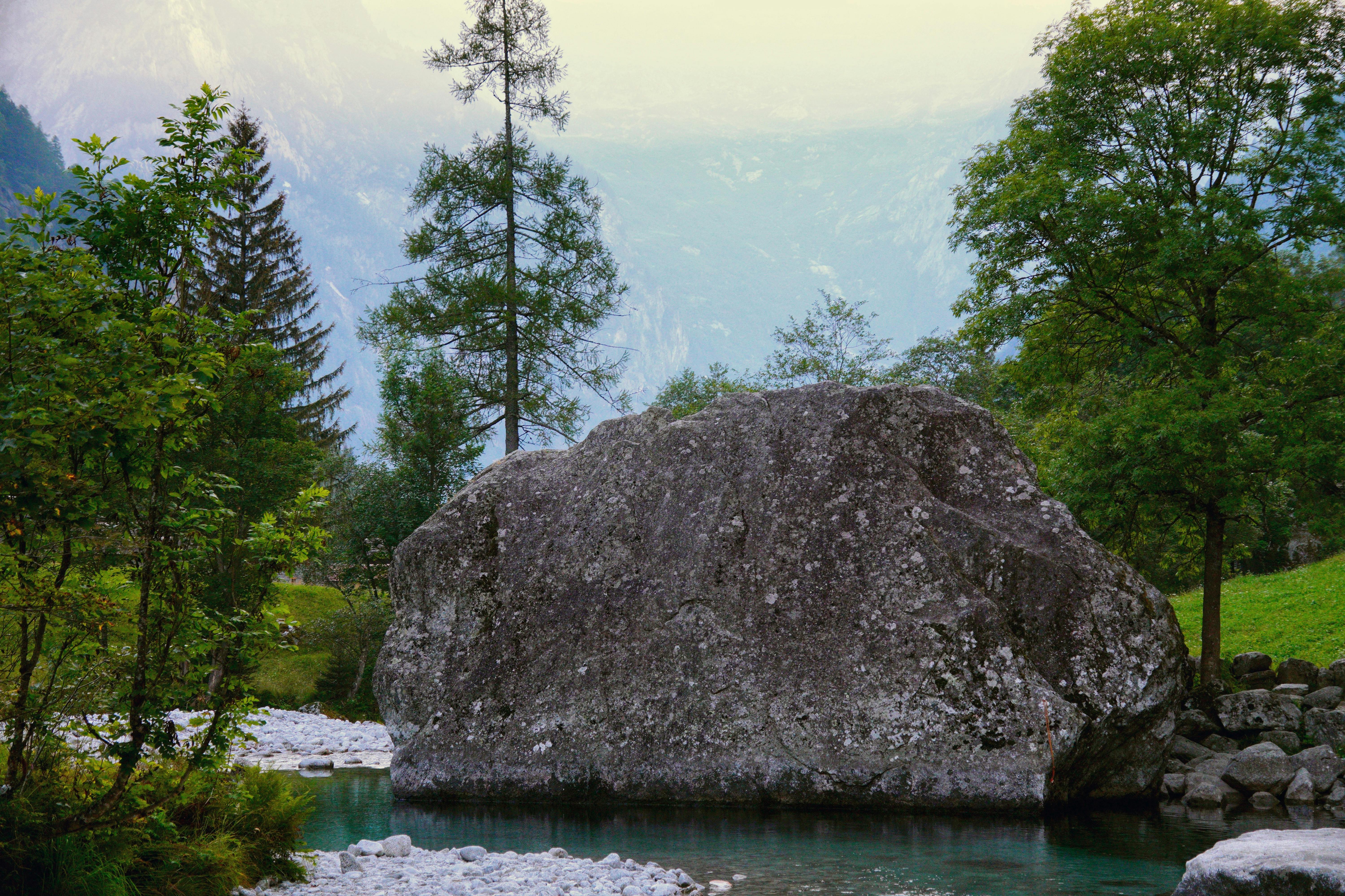 Scenic rock and forest landscape with mountain backdrop · Free Stock Photo